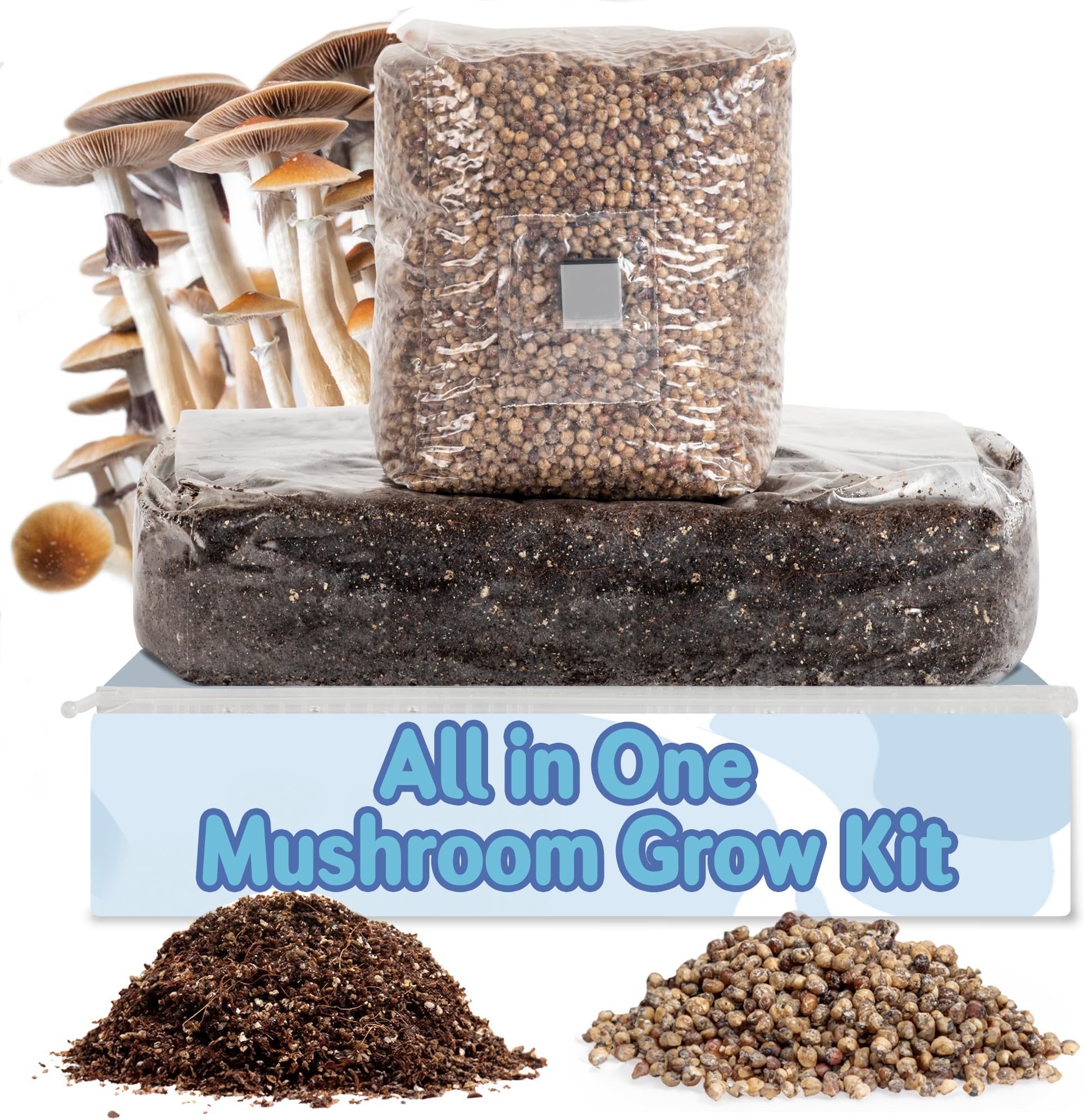 Amazon.com : Booming Acres | The Magical 5lb All-in-One Mushroom Grow ...