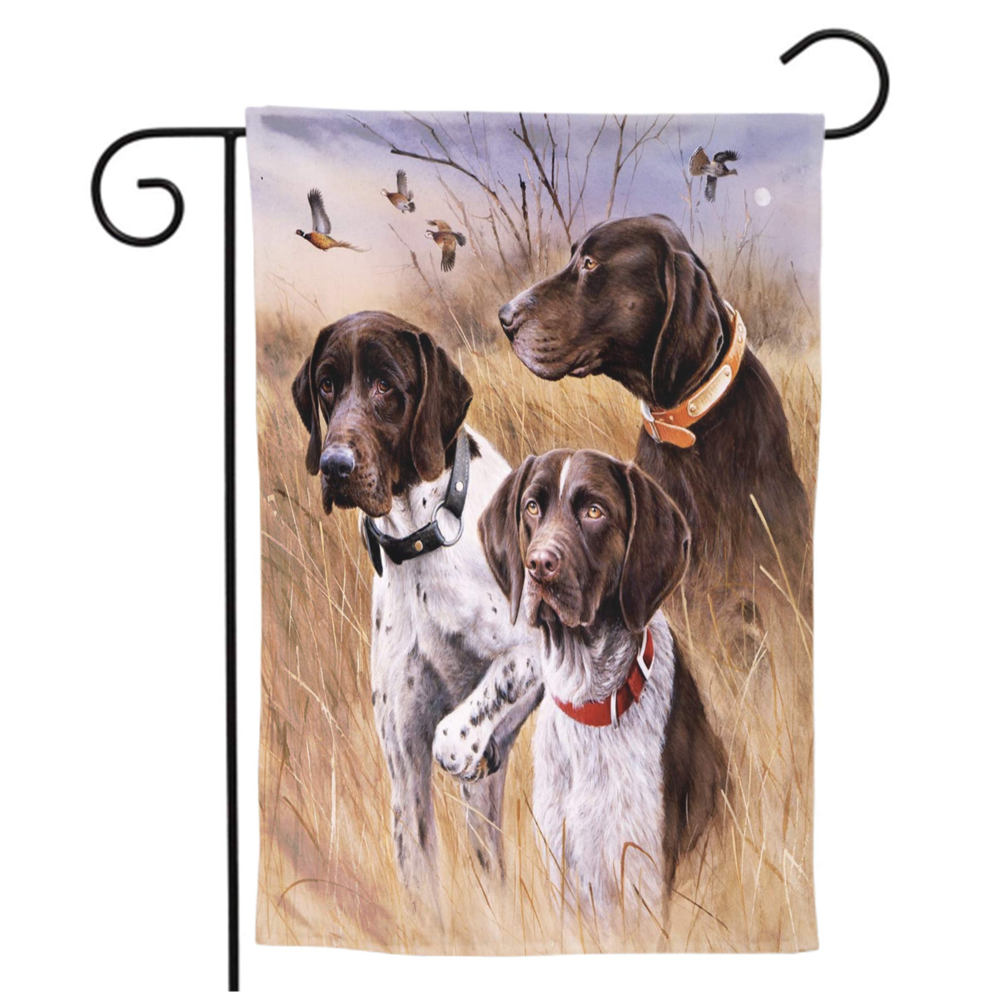 German Shorthaired Pointer Duck Hunting
