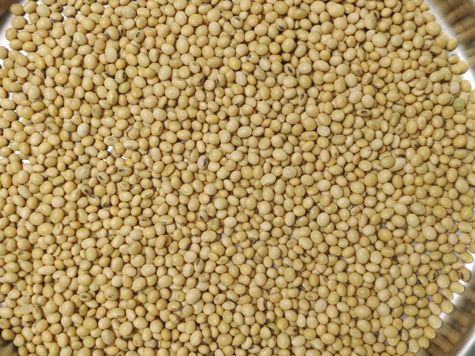 Farm365 Whole Soyabean Seeds - Source Of Dietary - High Fiber And ...