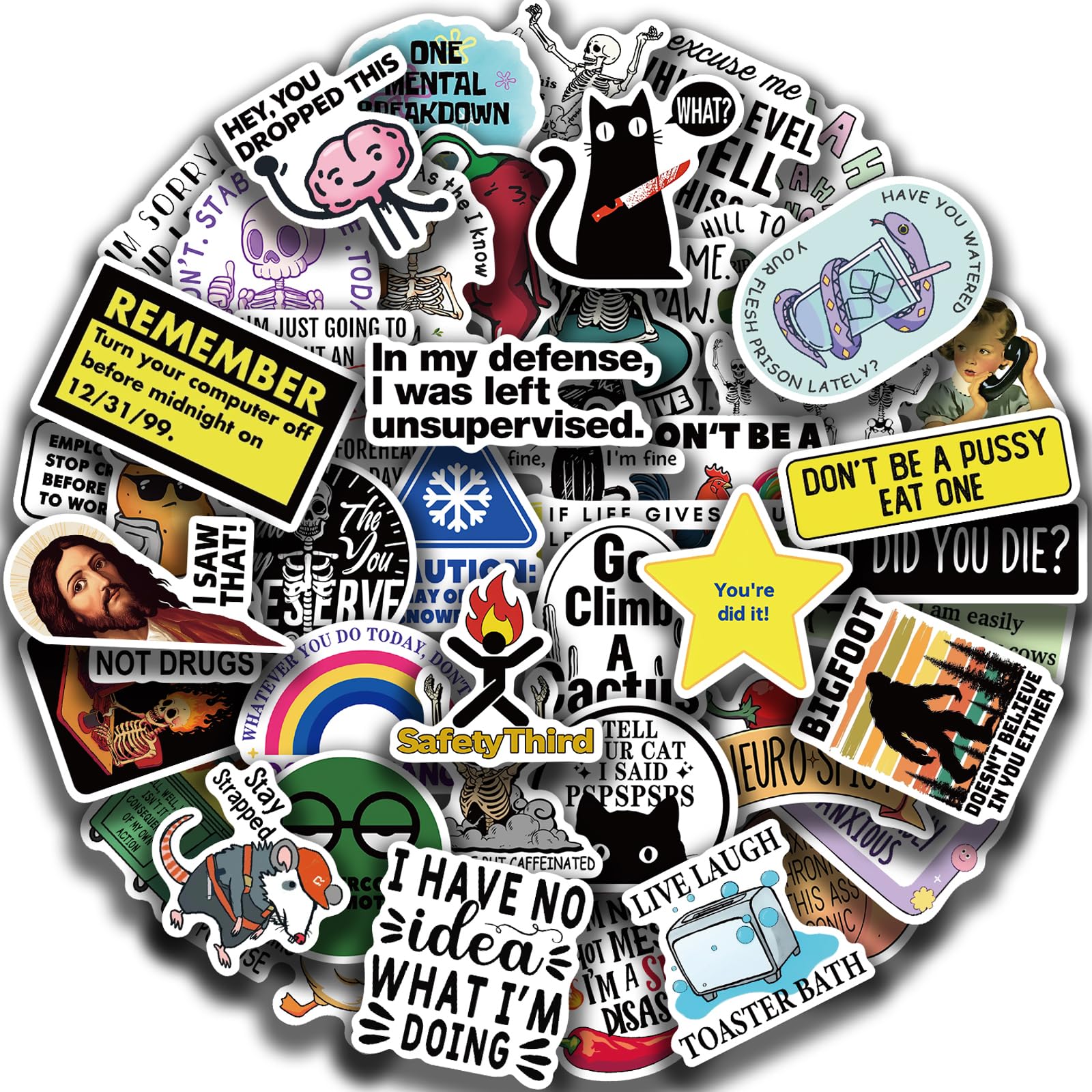 Amazon.com: 50 Pcs Funny Stickers,Meme Stickers,Funny Stickers for ...