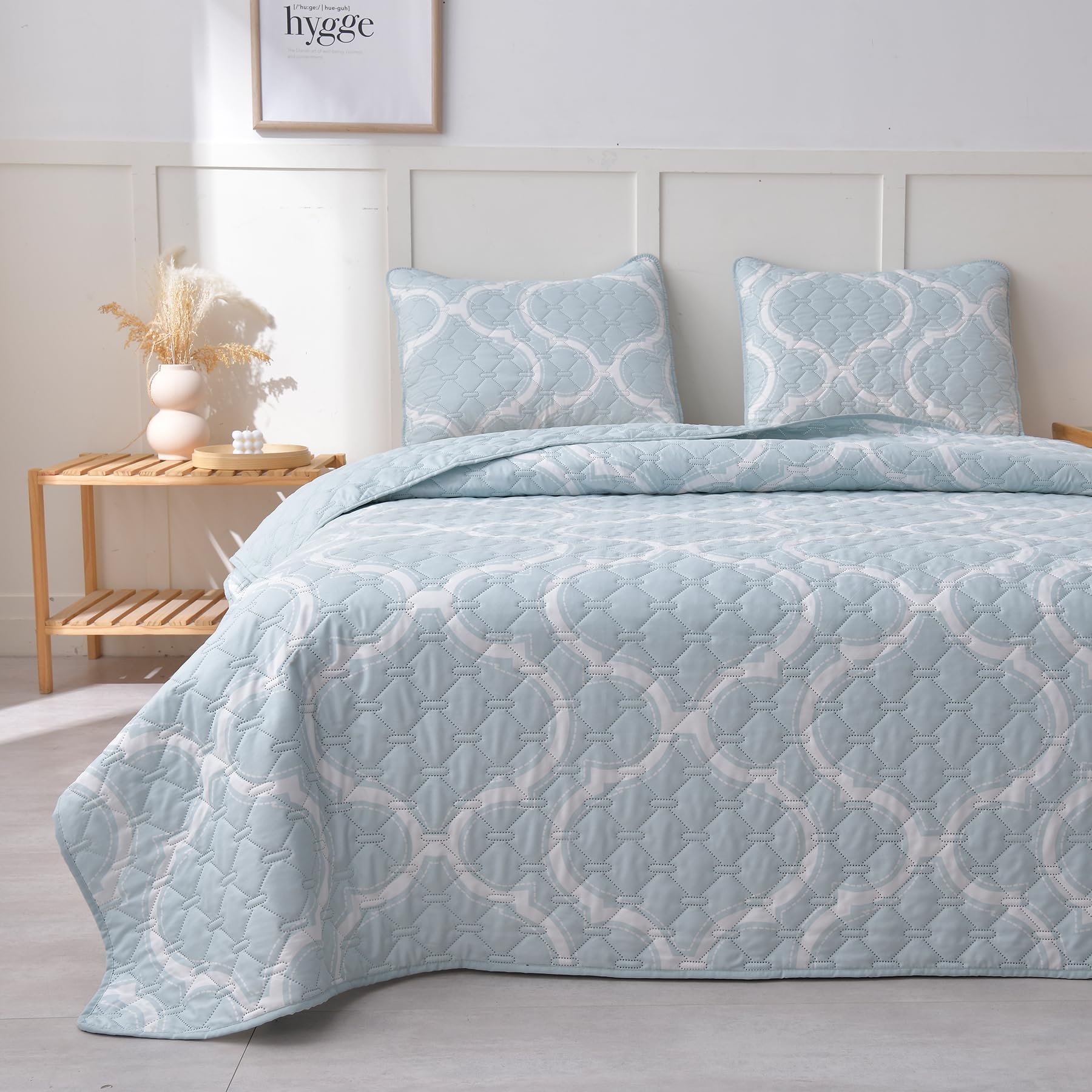 Amazon.com: LINNUO HOURSE Light Green Quilt Set 3 Piece,Twin Size ...