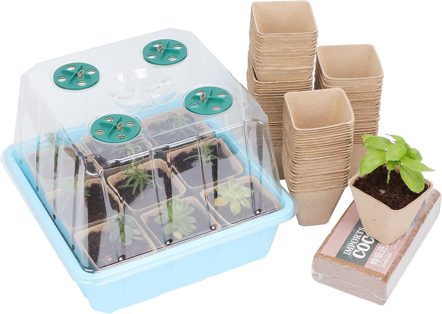 Amazon.com: Illuminated Seed Starter Kit: 1 Set of Mini Greenhouse with ...