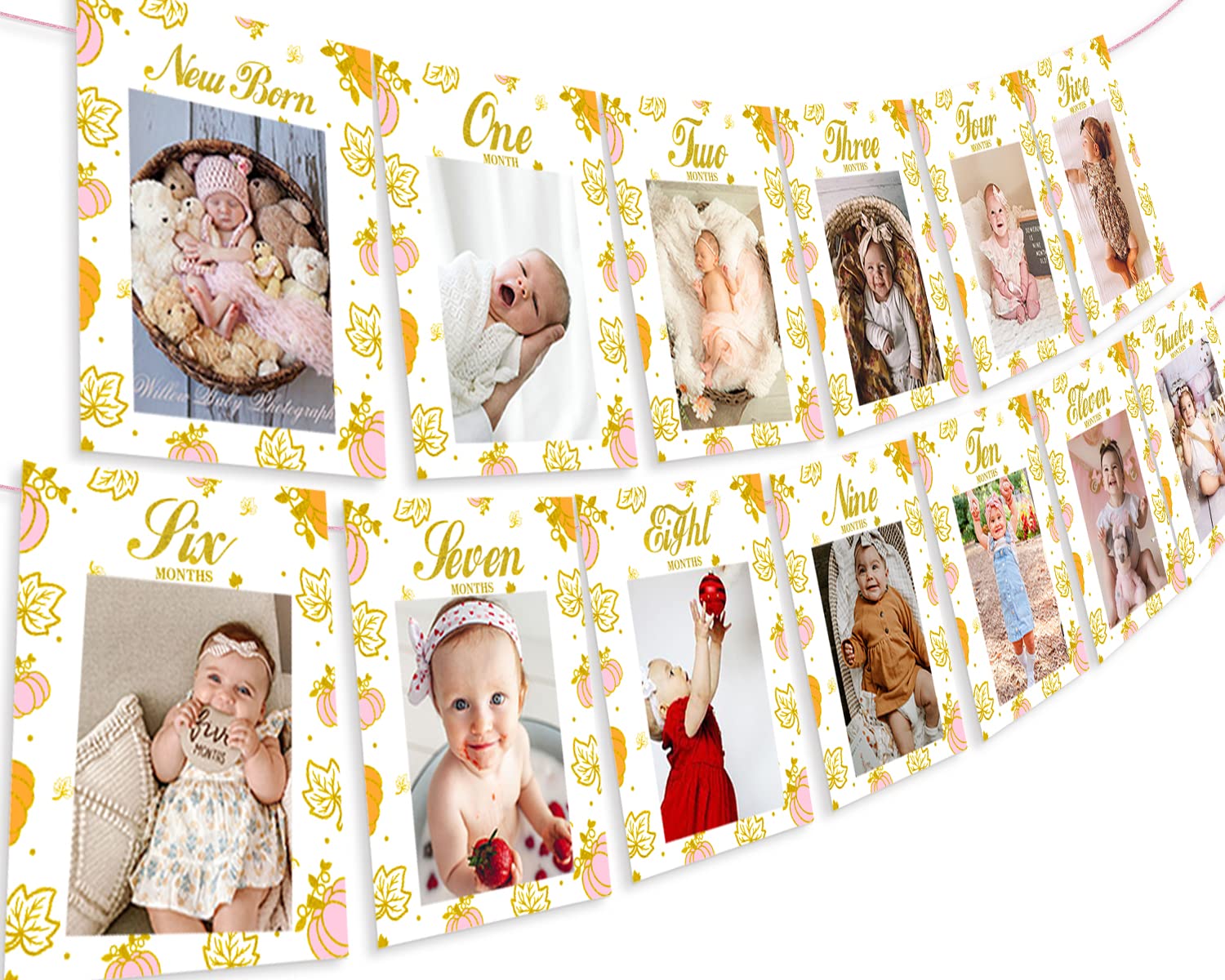 Pink Gold Baby Photo Garland 12 Month Pink & Gold Pumpkin 1st Birthday ...