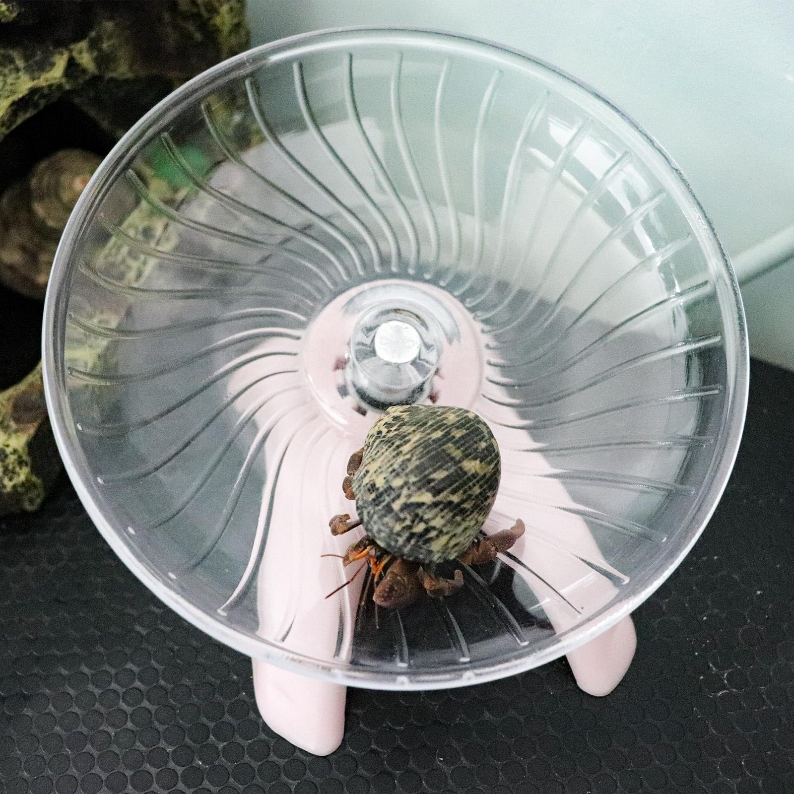 Snapklik.com : Hermit Crabs Wheel Toy, Hamster Running Wheel Toys ...