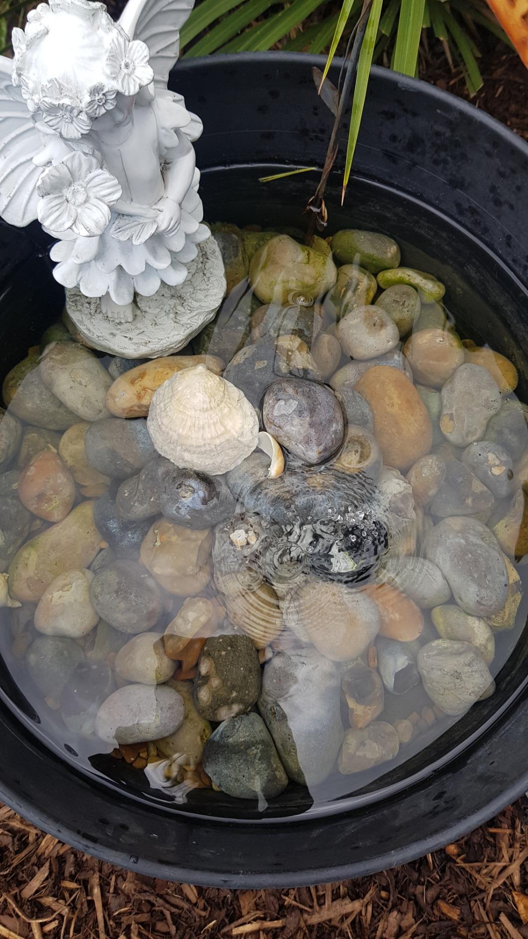 NT Labs Pond Gleam Tablets, Water Feature Cleaning Tablets, Restores ...