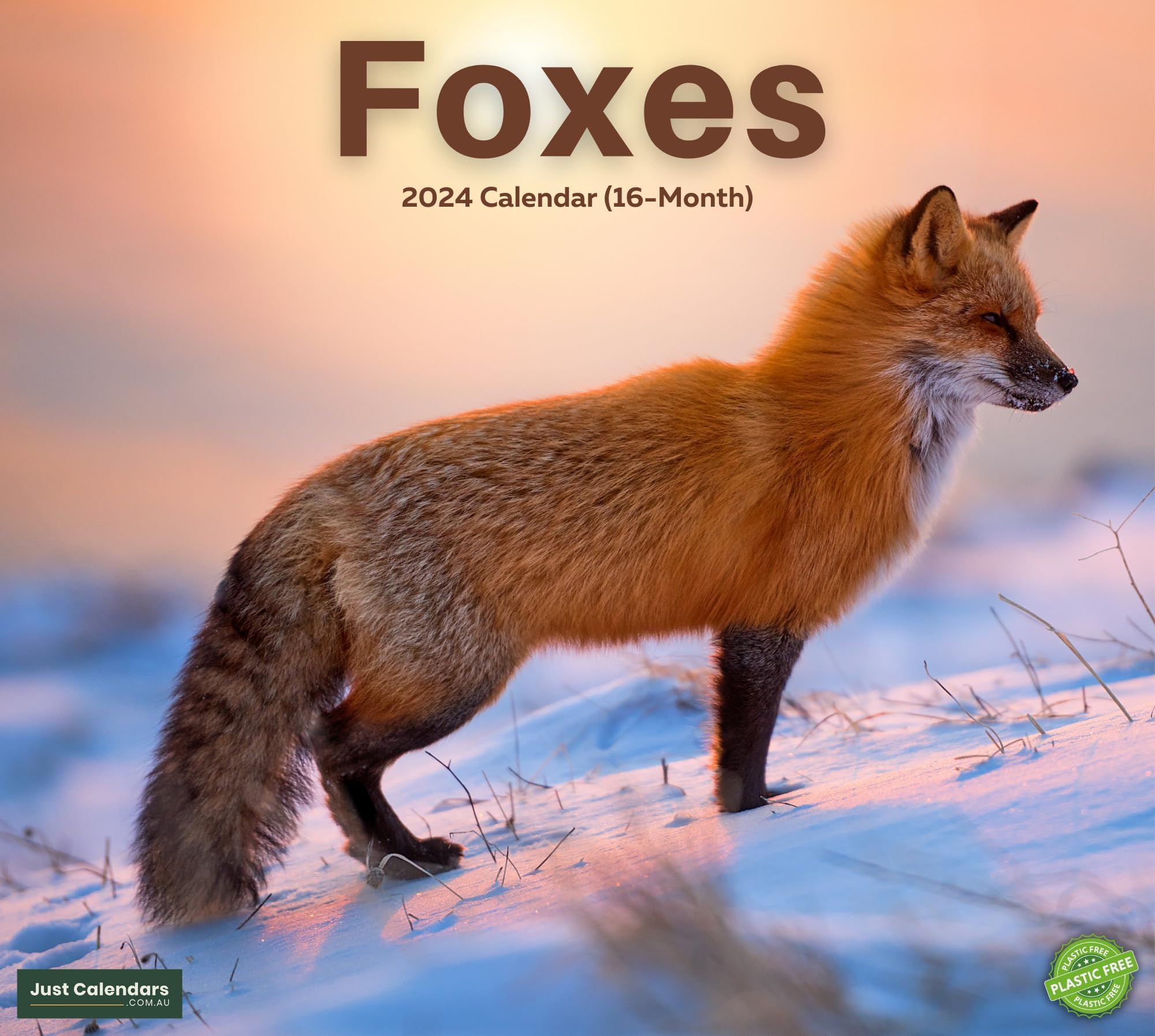 Amazon.com: 2024 Foxes - Deluxe Wall Calendar by Just Calendars - 16 ...
