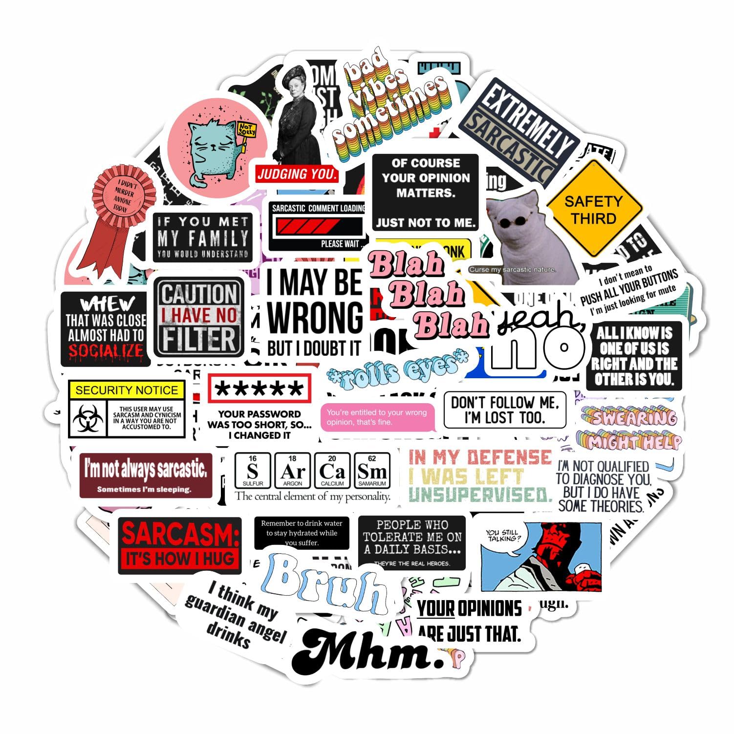 Amazon.com: 100Pcs Sarcastic Stickers for Adults, Snarky Stickers for ...