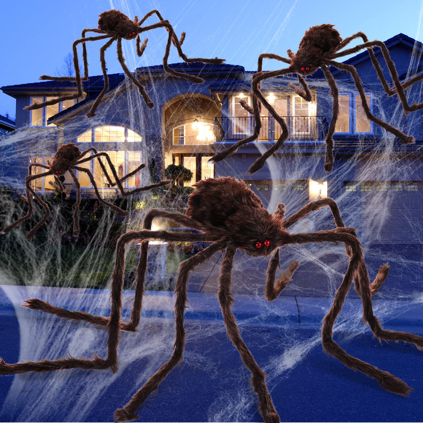 Gallery Of Giant Spiders