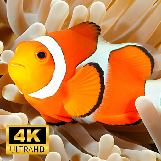 Aquarium Screensaver, Aquarium Deep Sea Odyssey : Ultra HD Aquarium ...