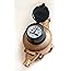 Neptune T-10 3/4" (5/8" x 3/4") Direct Read Bronze Meter w/ Couplings ...