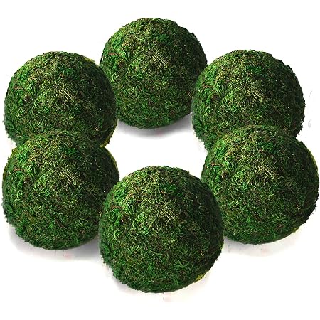 Amazon.com: 18 Pack Decorative Faux Dried Moss Balls- 6pcs 3.1 ...