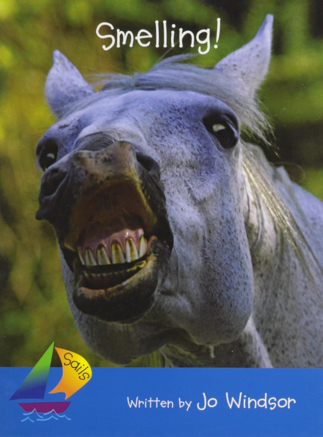 Amazon.com: Smelling!: Rigby Sails Early Leveled Reader: 9780757864674 ...