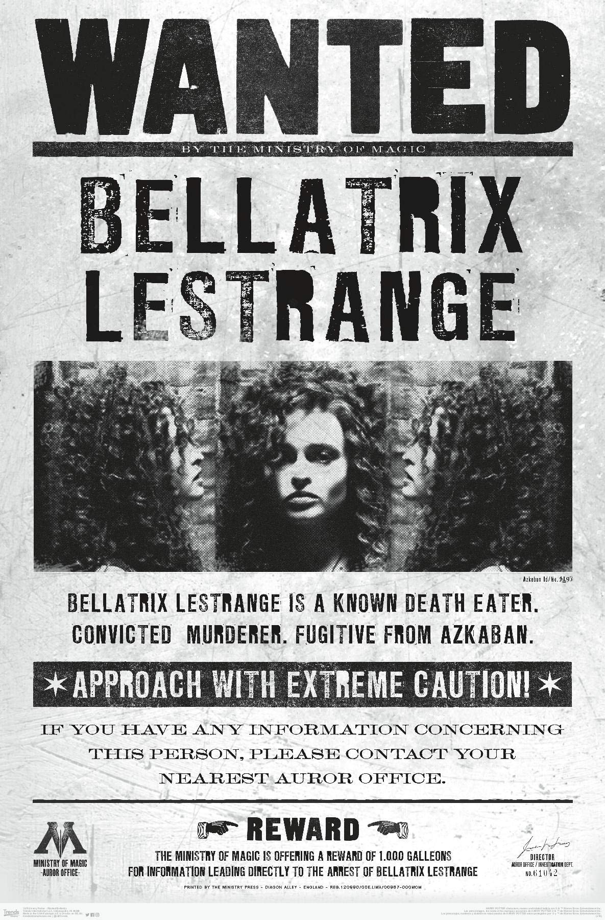 Bellatrix Lestrange Poster