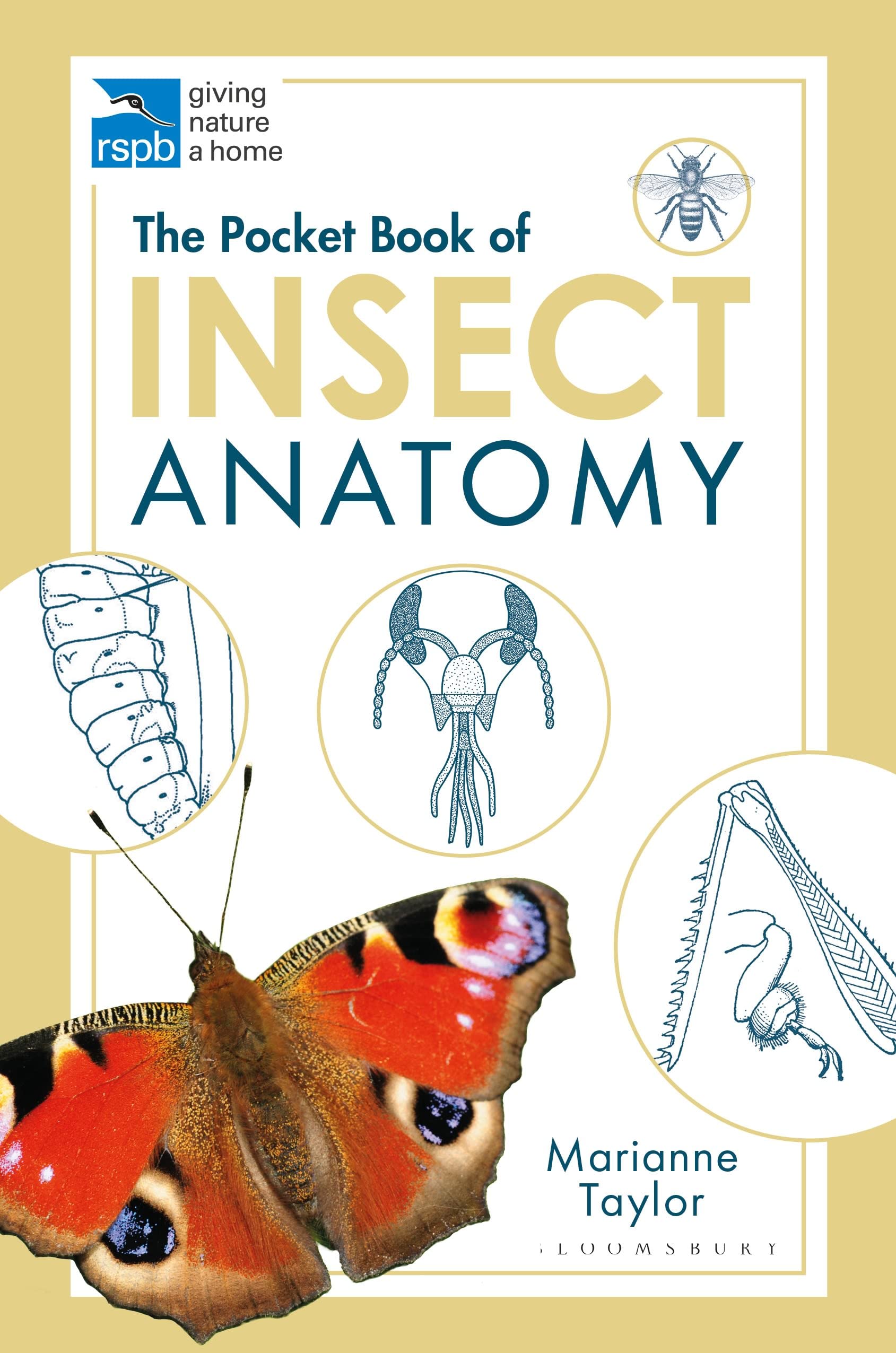 The Pocket Book of Insect Anatomy (RSPB): Amazon.co.uk: Taylor ...