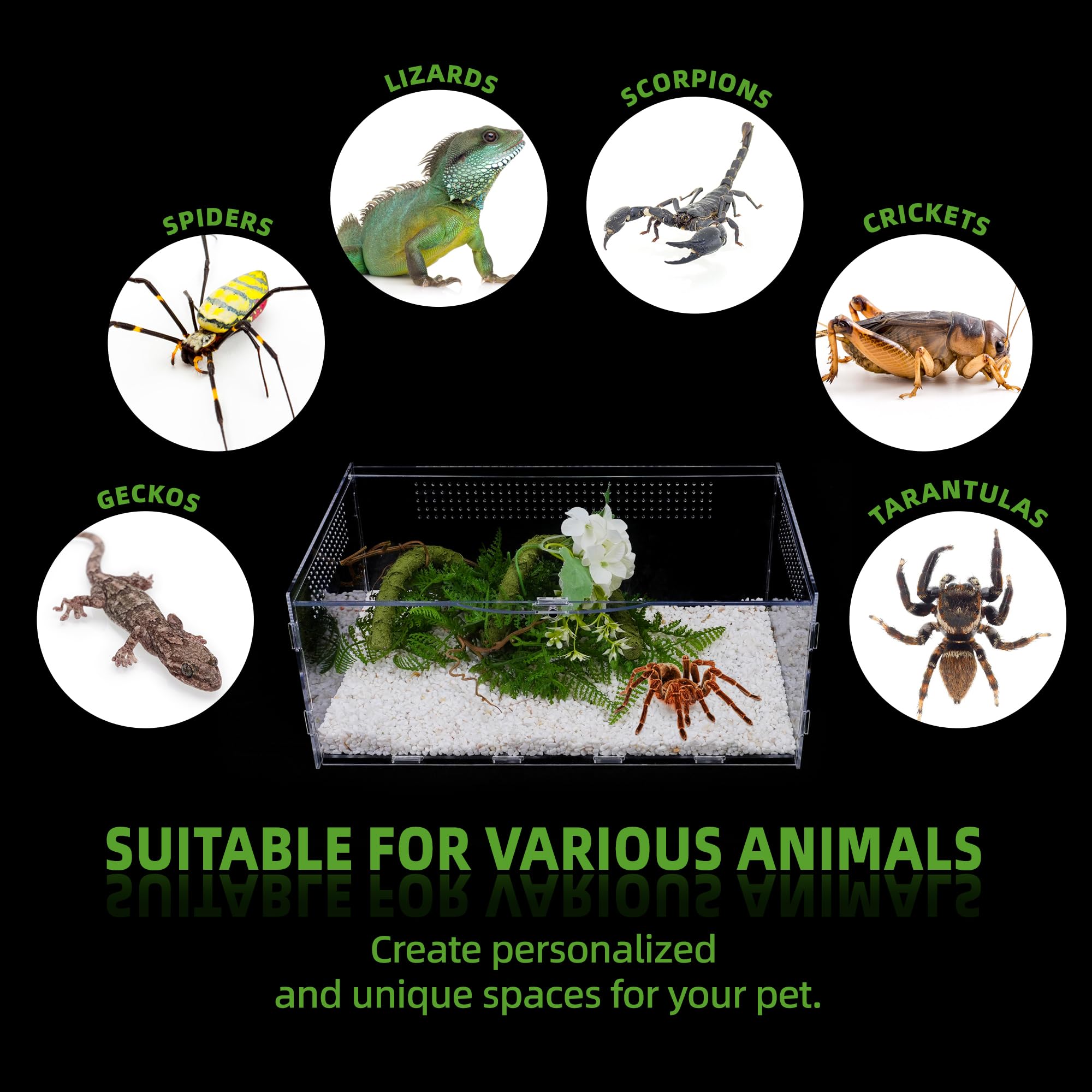 Mini Pet Terrarium With Lid GTSEEMUU Clear Acrylic Insect Terrarium ...