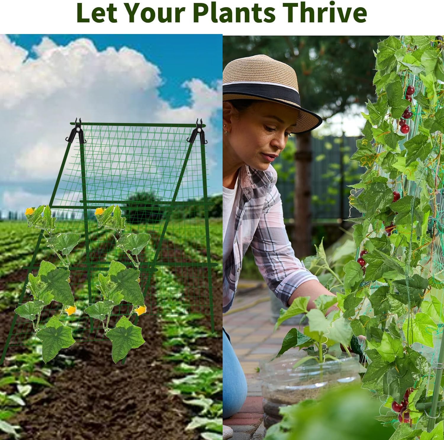 A Frame Vegetable Trellis