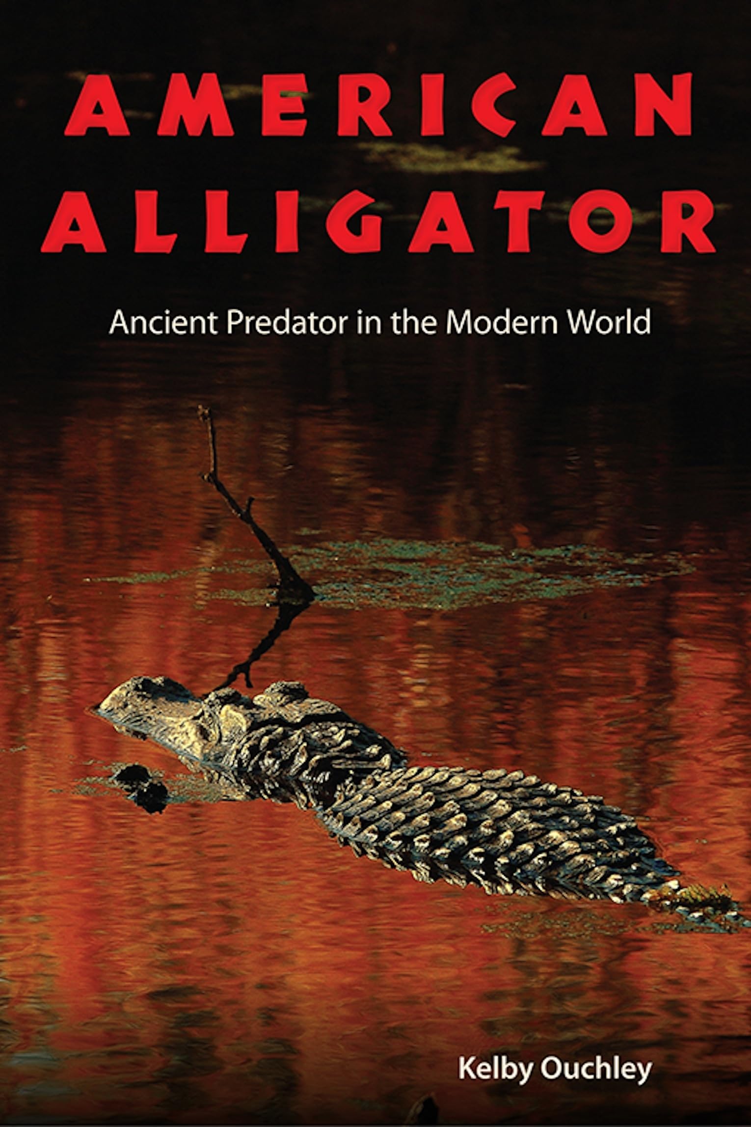 American Alligator: Ancient Predator in the Modern World: Ouchley ...