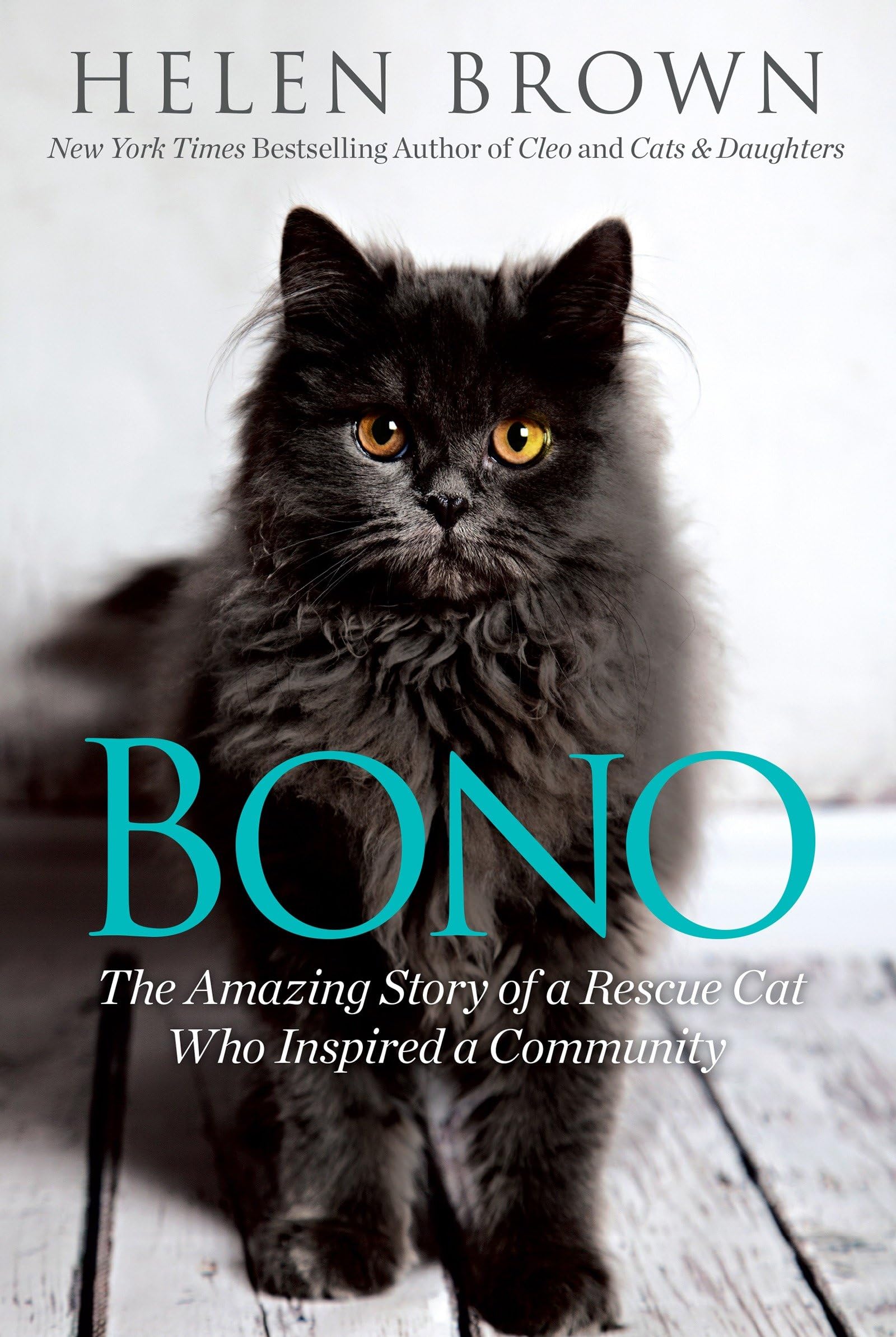 Amazon.com: Bono: The Amazing Story of a Rescue Cat Who Inspired a ...