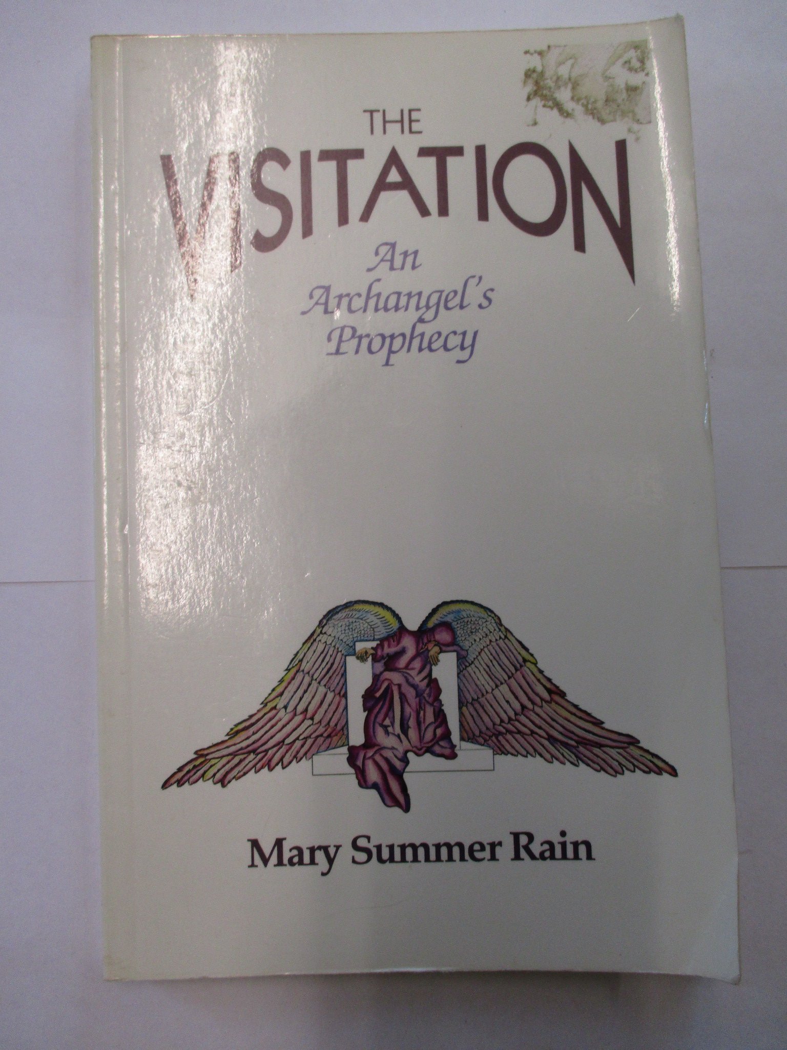 The Visitation: An Archangel's Prophecy: Summer Rain, Mary ...