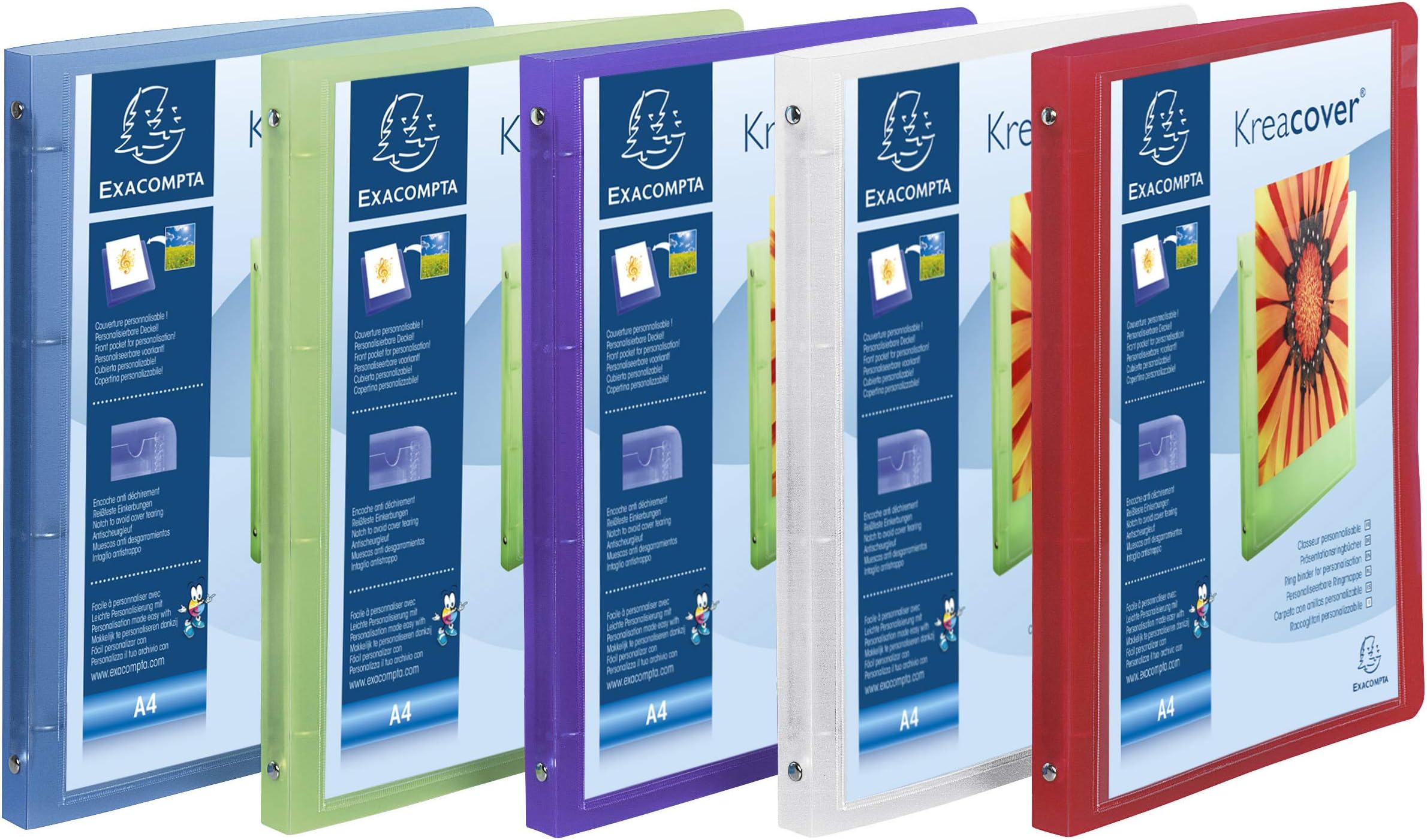 Exacompta - ref. 519699E - Box of 5 customizable flexible PP binders 1 ...