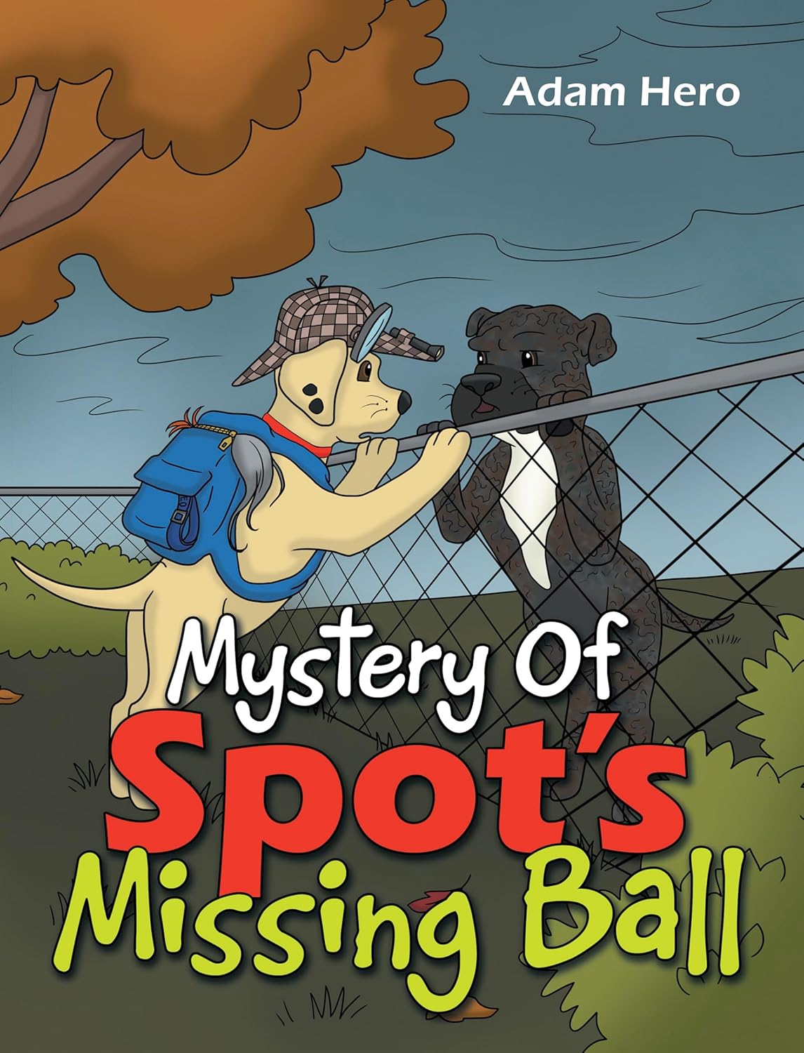 Mystery Of Spot's Missing Ball - Kindle edition by Hero, Adam ...