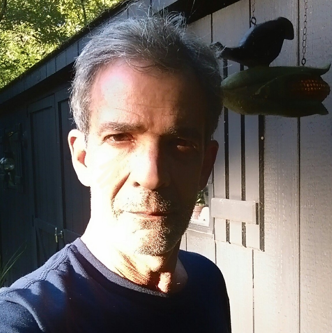 Amazon.com: Art Donovan: books, biography, latest update