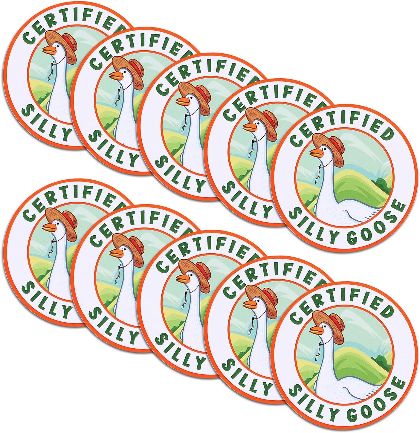 Amazon.com - Silly Goose Funny Teen Bumper Decal Sticker for Laptop ...