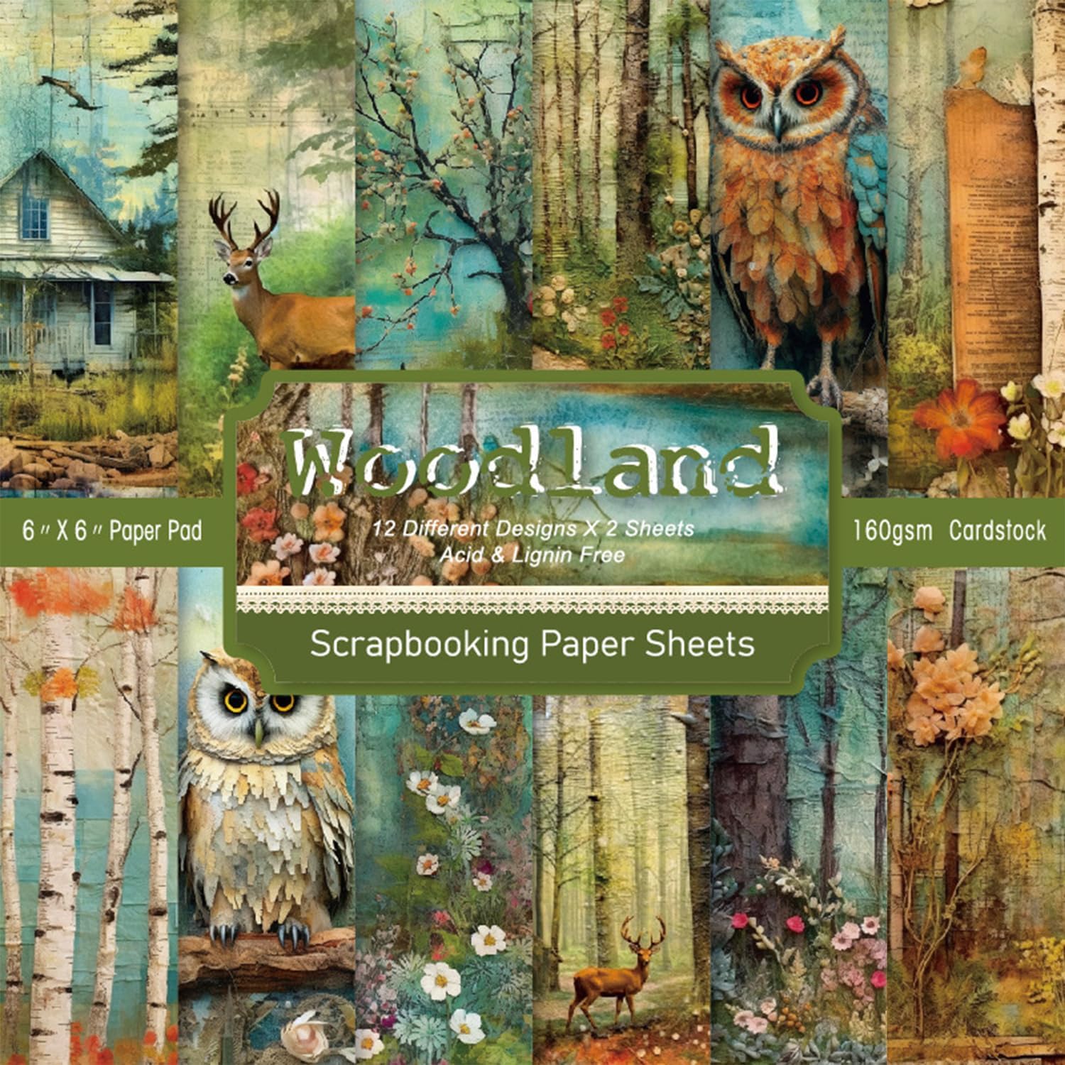 Amazon.com : 36 sheets 12x12 Scrapbook Paper | Scrapbooking Cardstock ...