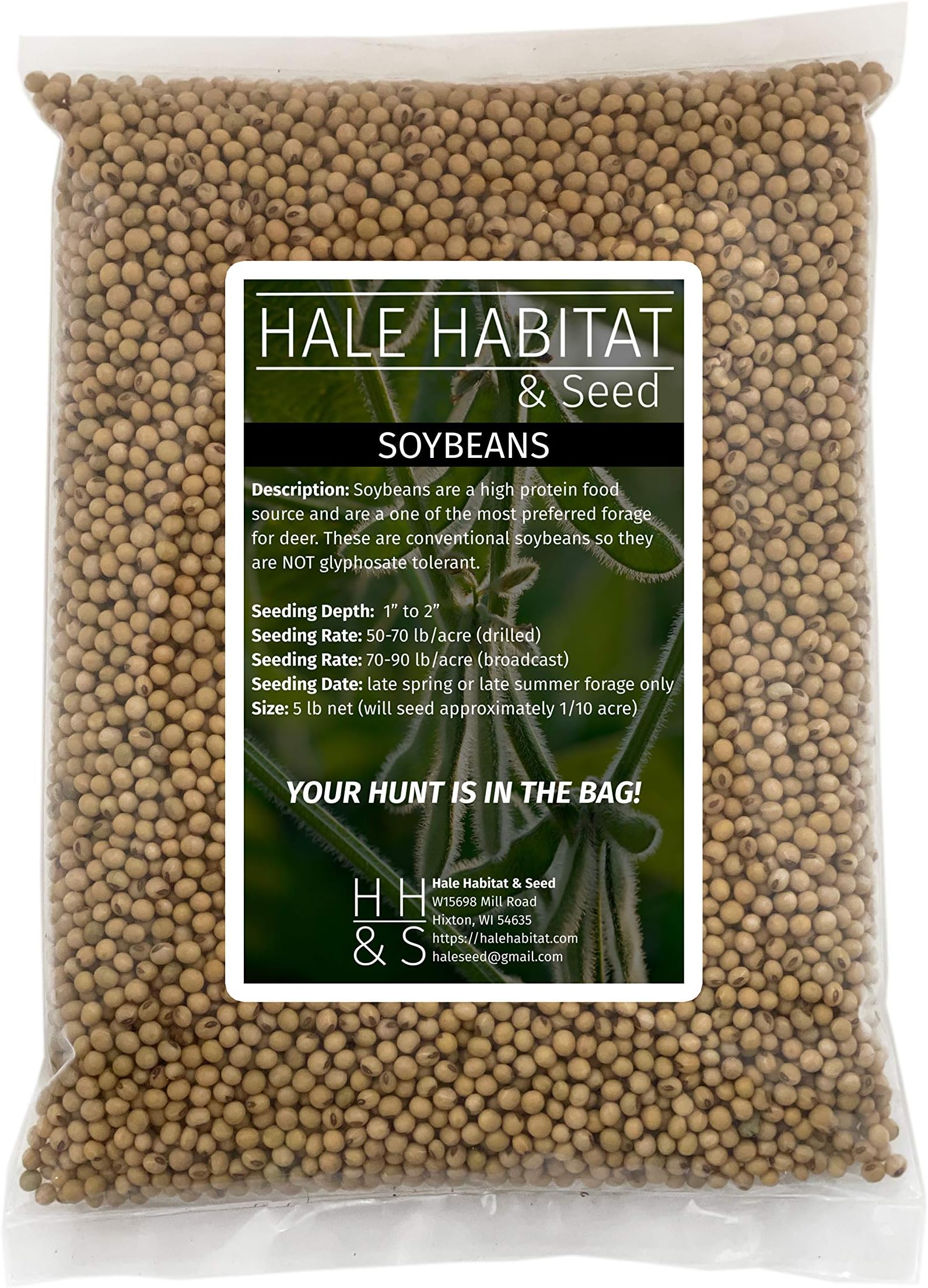 Amazon.com : Eagle Seed Large Lad Forage Soybean, Glyphosate Tolerant ...