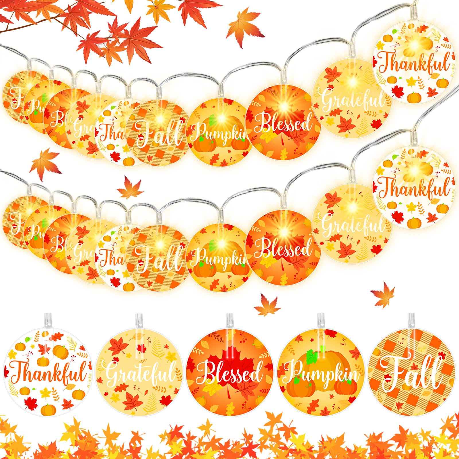 Amazon.com: 2 Pcs Fall Lights Decor 4.9ft 10 LED Thanksgiving Lights ...