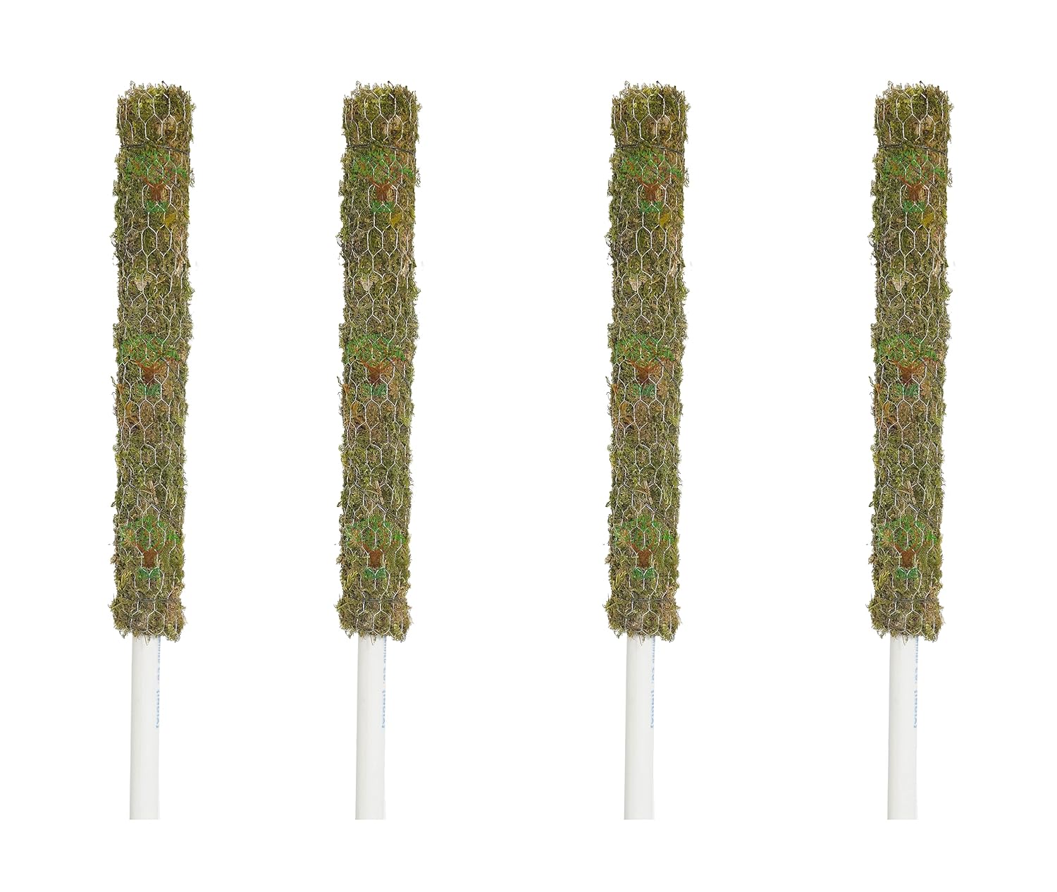 DR ARYA Moss Stick | Moss Stick | Moss Stick for Plant | Climbing ...