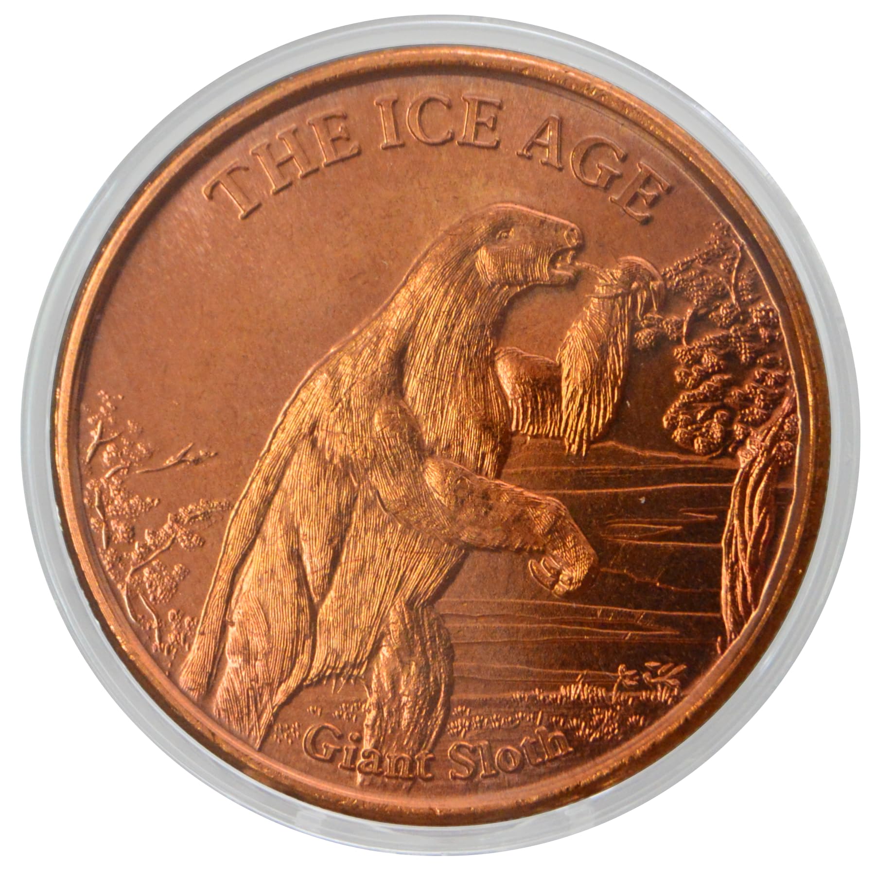 Amazon.com: Ice Age Giant Sloth 1 oz Pure .999 Copper Round Bullion ...