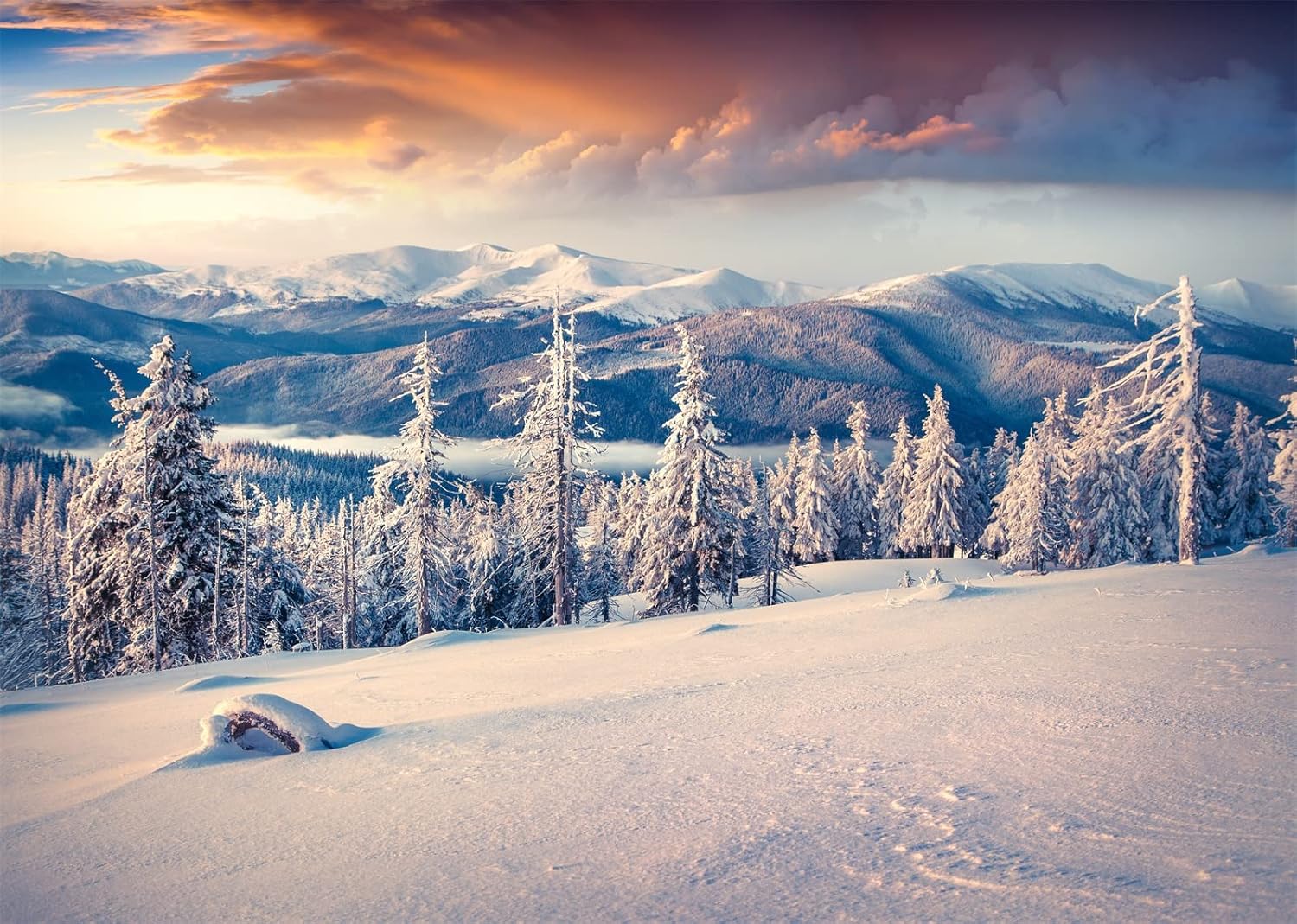 Amazon.com : BELECO 15x10ft Fabric Winter Forest Photography Backdrop ...