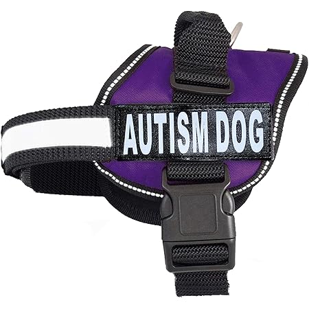 Amazon.com : 2 Sided"Autism Service Dog" Identification Patch Tag : Pet ...