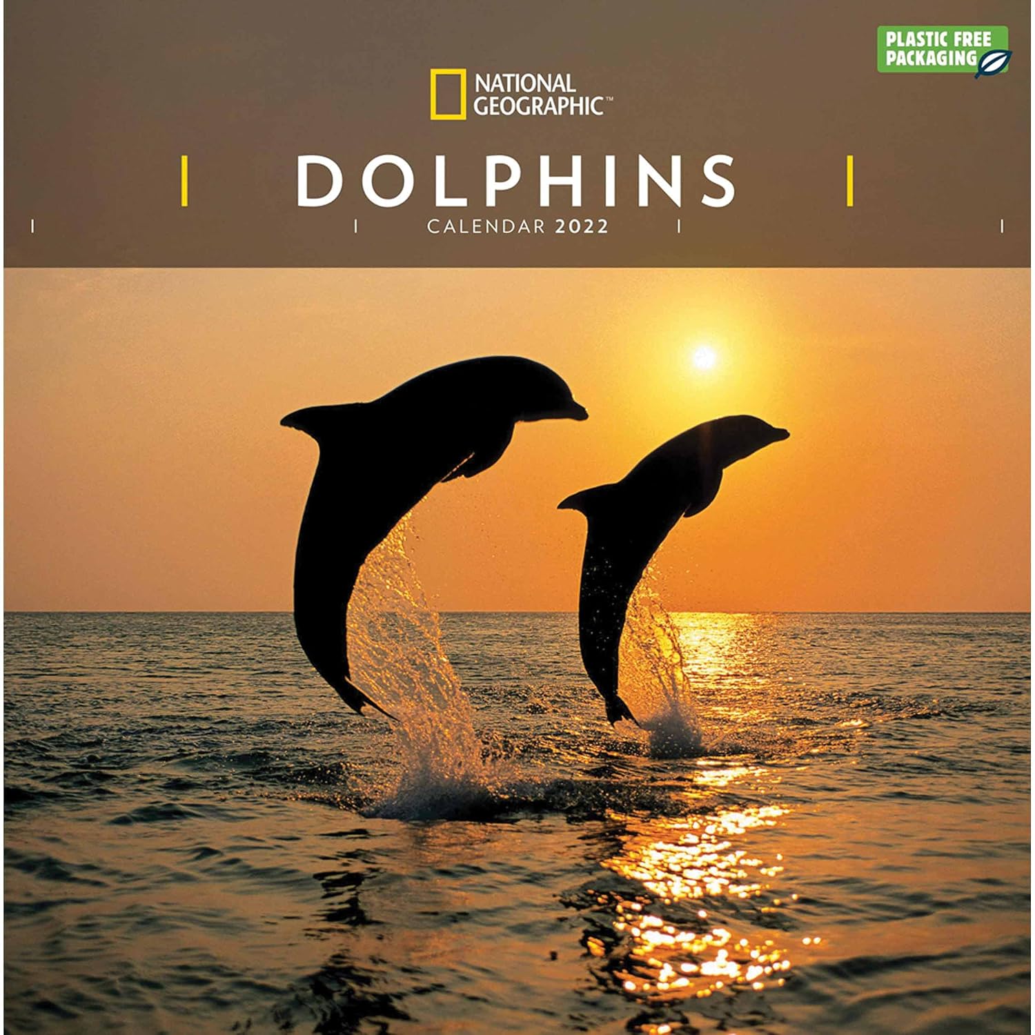 Dolphins National Geographic Square Wall Calendar 2022: 9781529819403 ...