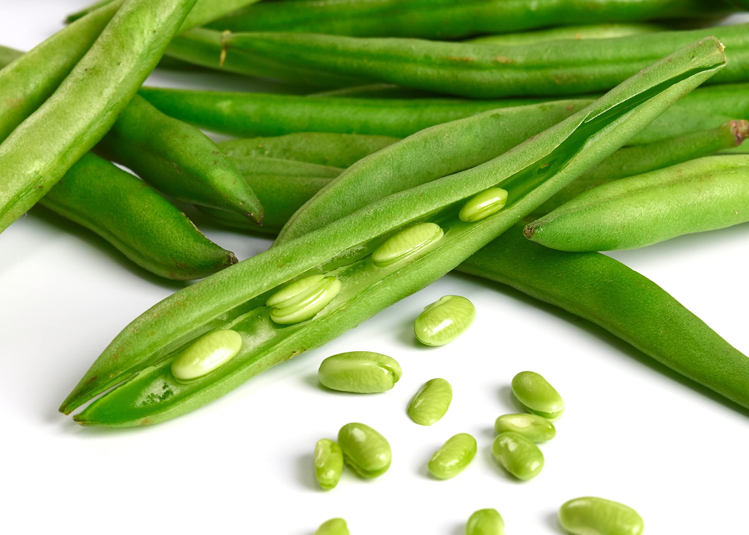 Runner Bean Plants, 'Firestorm', 12 x Full Plant Pack, Runner Beans ...