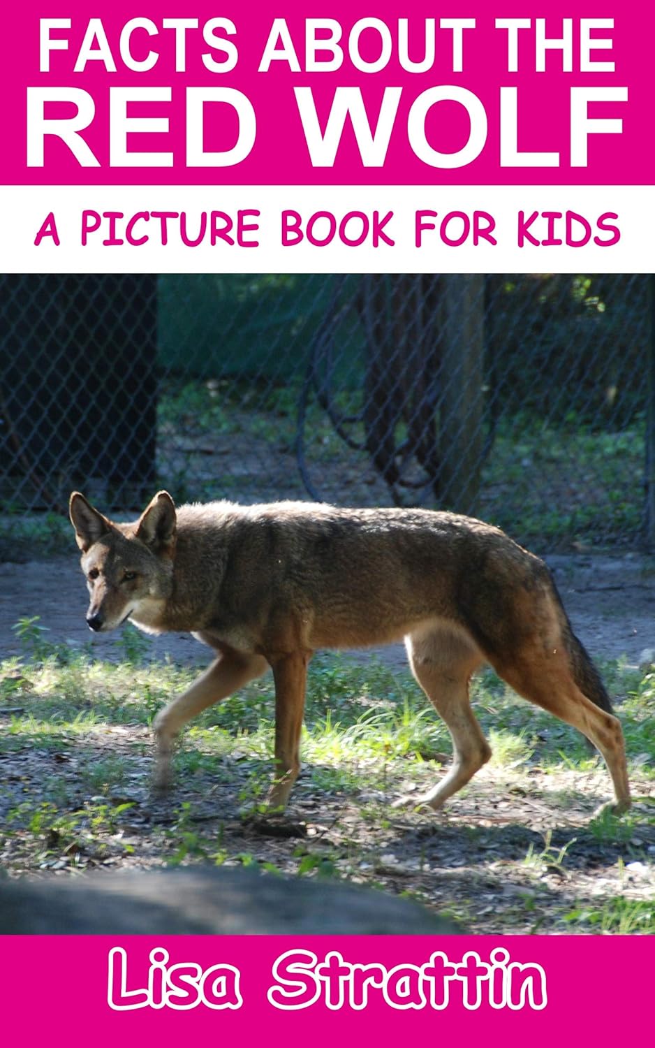 Facts About the Red Wolf (A Picture Book For Kids 365) - Kindle edition ...