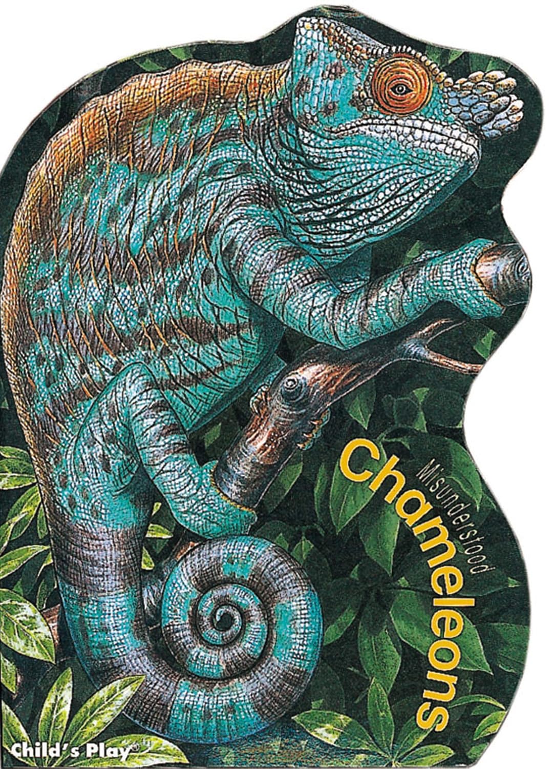 Chameleons (Misunderstood): Baker, Sue: 9780859536097: Amazon.com: Books