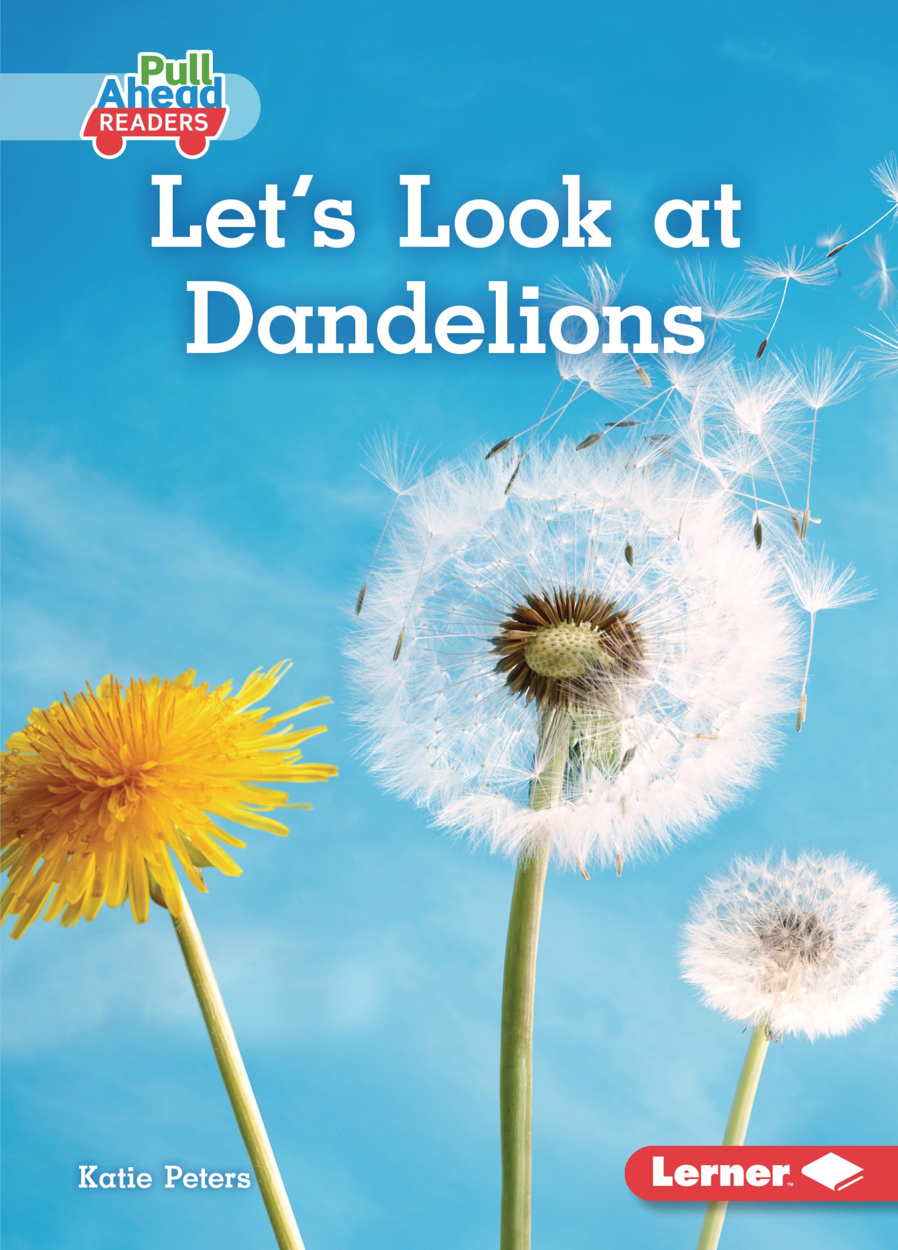 Amazon.com: Let's Look at Dandelions (Plant Life Cycles (Pull Ahead ...