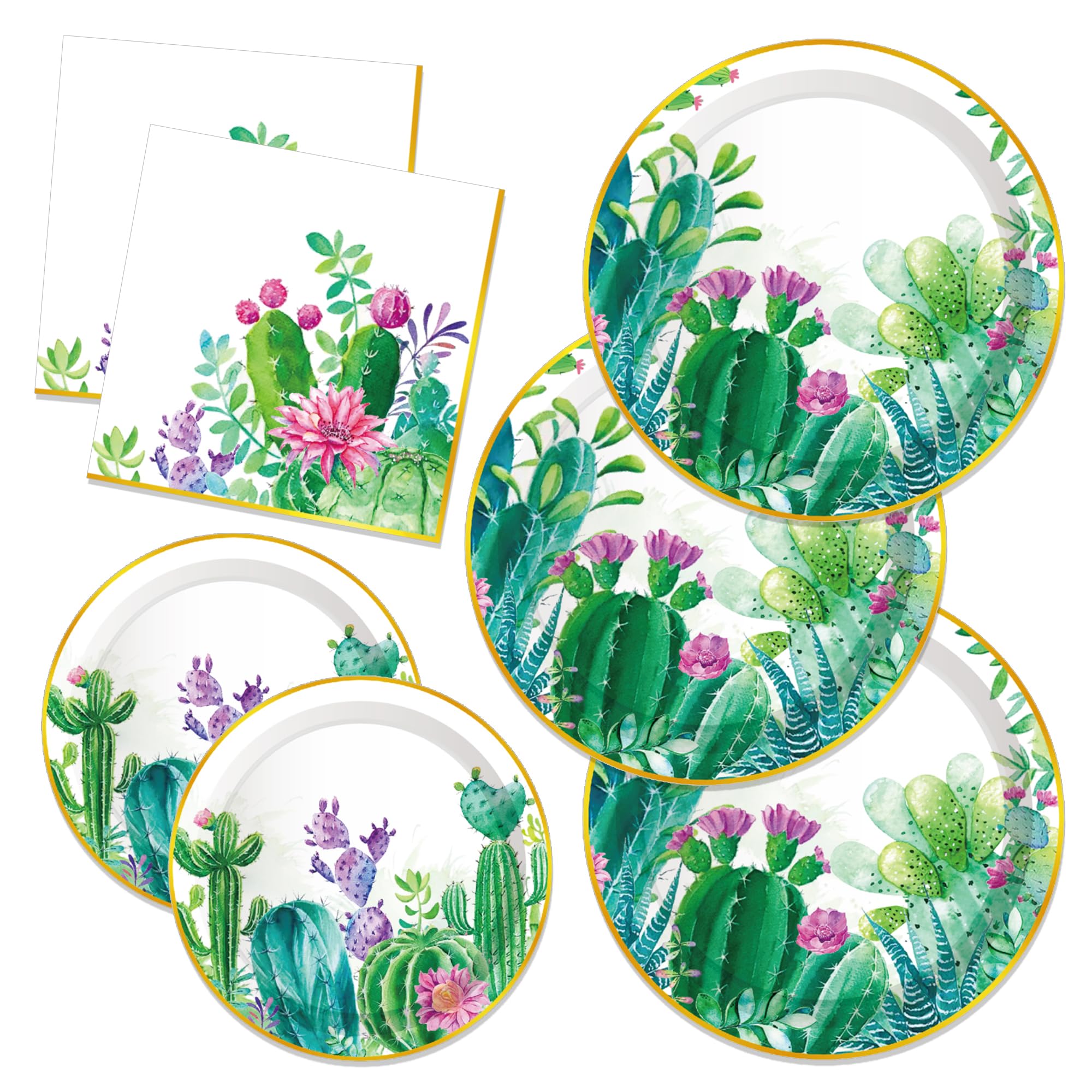 Amazon.com: Succulent Cactus Birthday Paper Plates Napkins Plants ...
