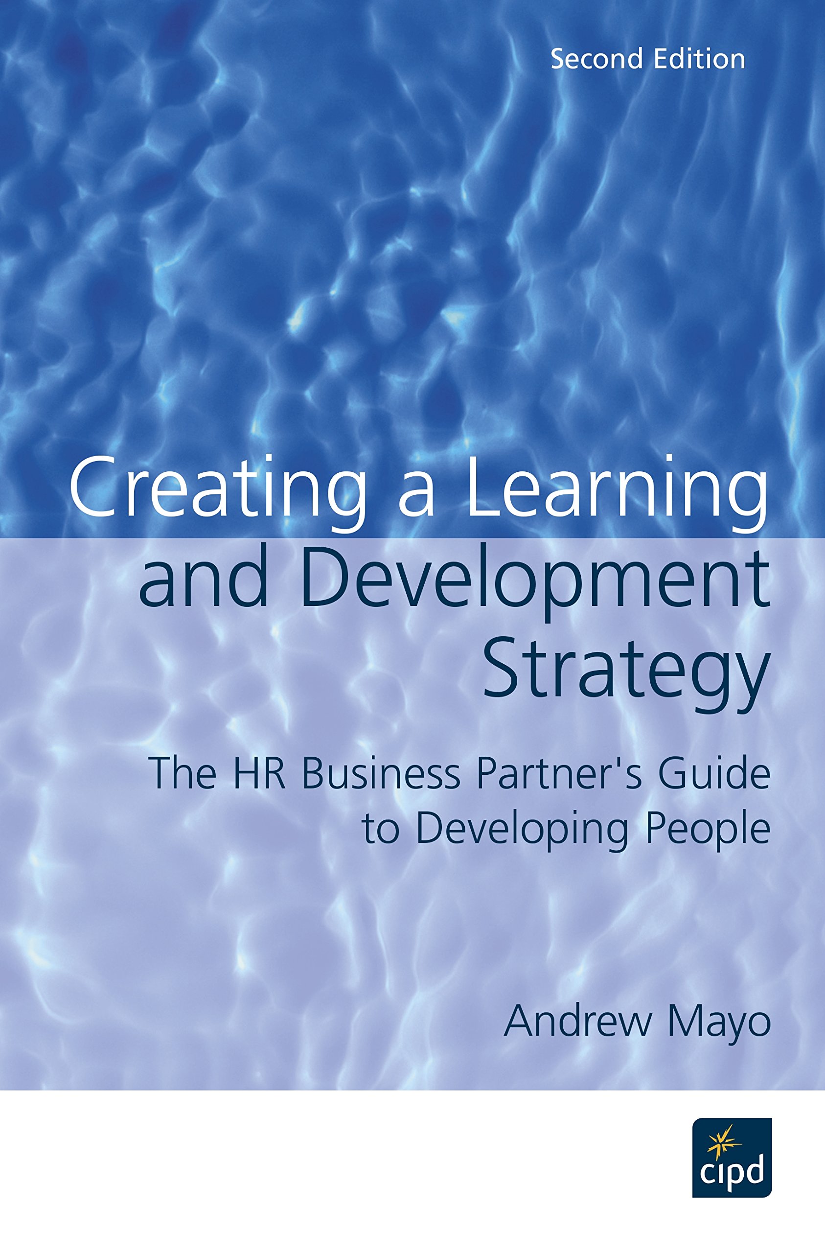 Creating a Learning and Development Strategy: The HR Business Partner's ...