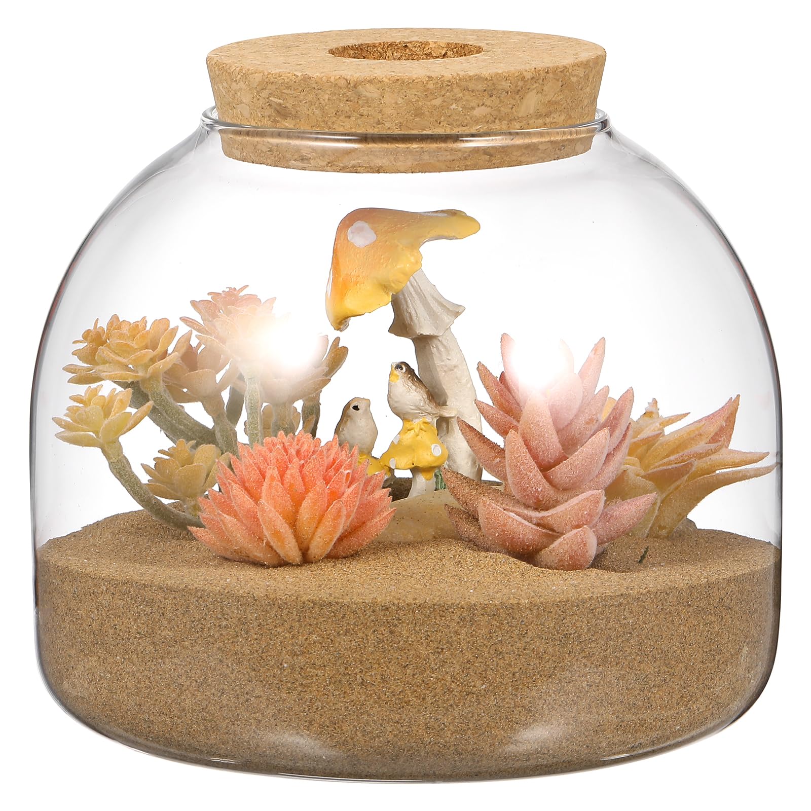 Amazon.com: iplusmile Plant Glass Terrarium Container - Small Succulent ...