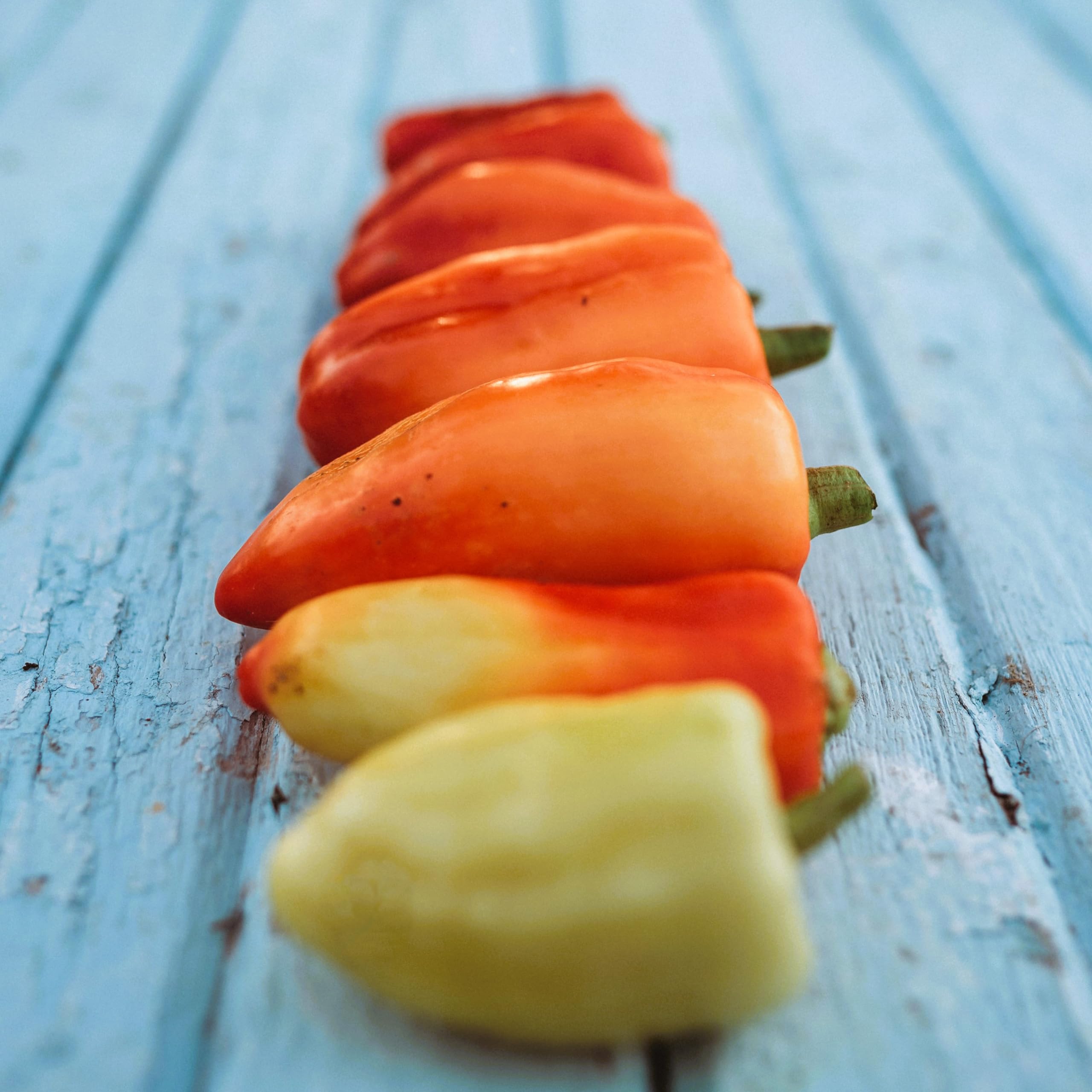 Amazon.com : Feher Ozon Paprika Pepper - 25 Seeds - Heirloom Hungarian ...