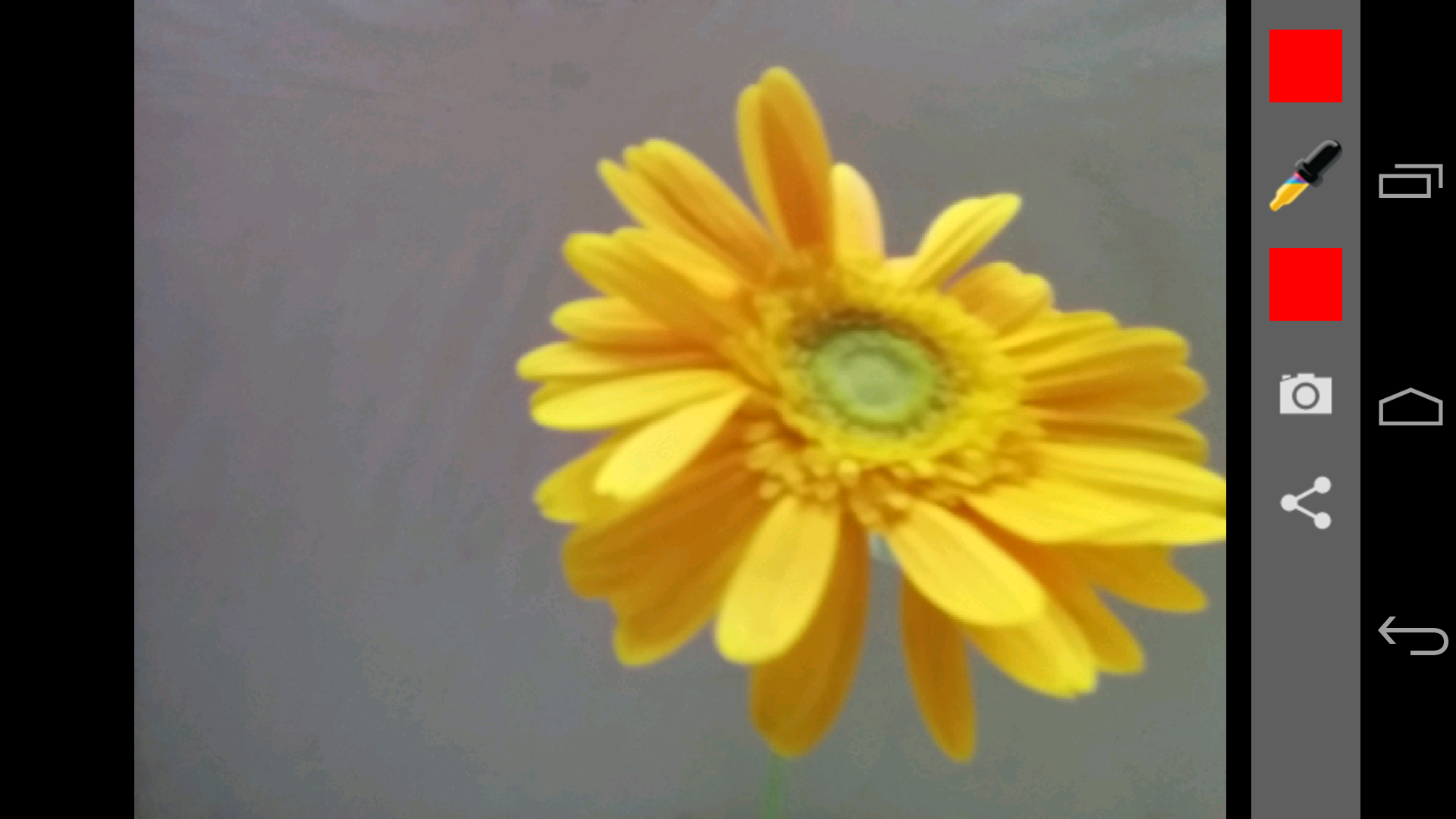 Colorify Augmented Reality Color Changer - App on Amazon Appstore