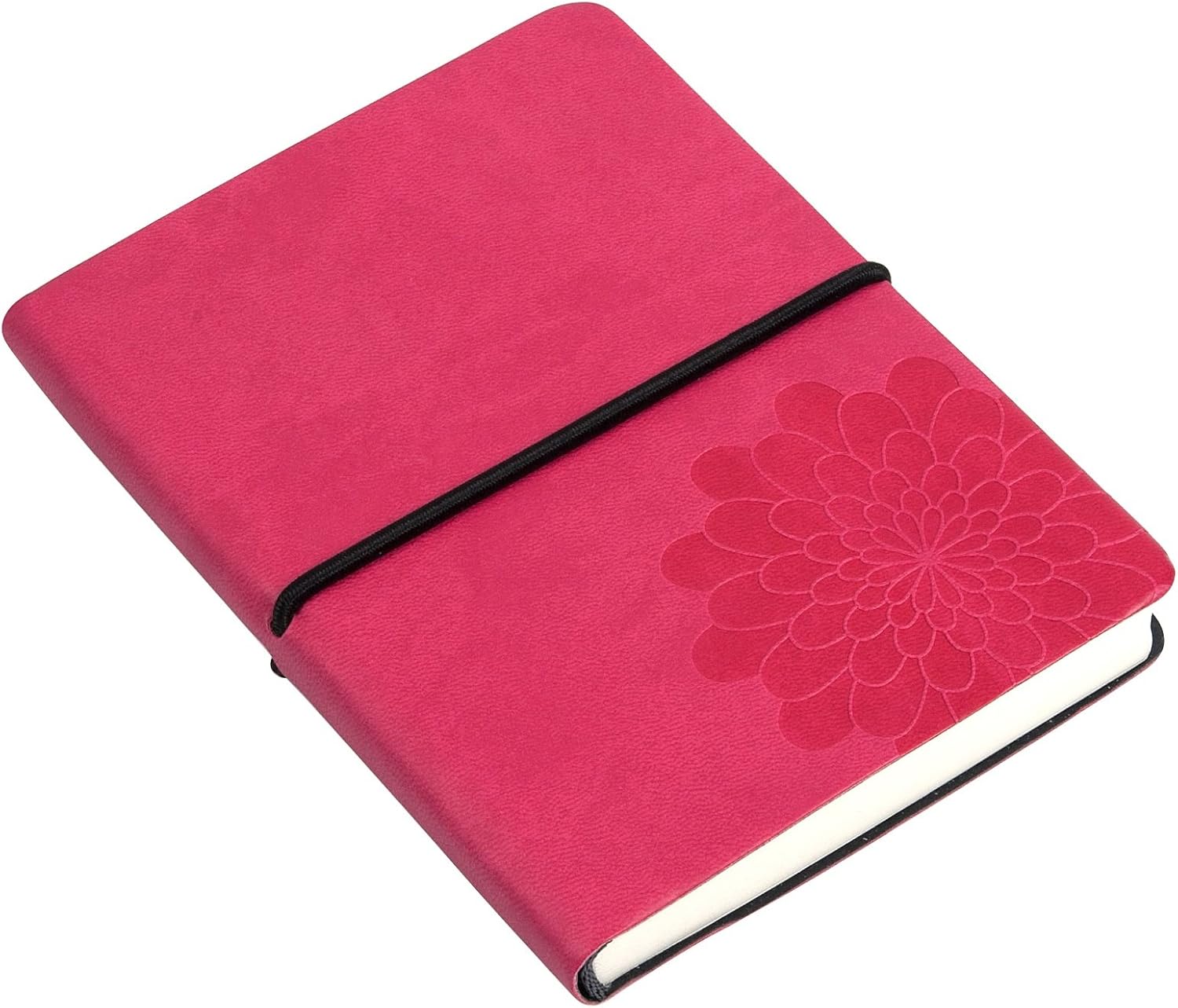 Amazon.com : Grandluxe Pink Dialogue Too Notebook, Large, 4.1 x 5.8 ...