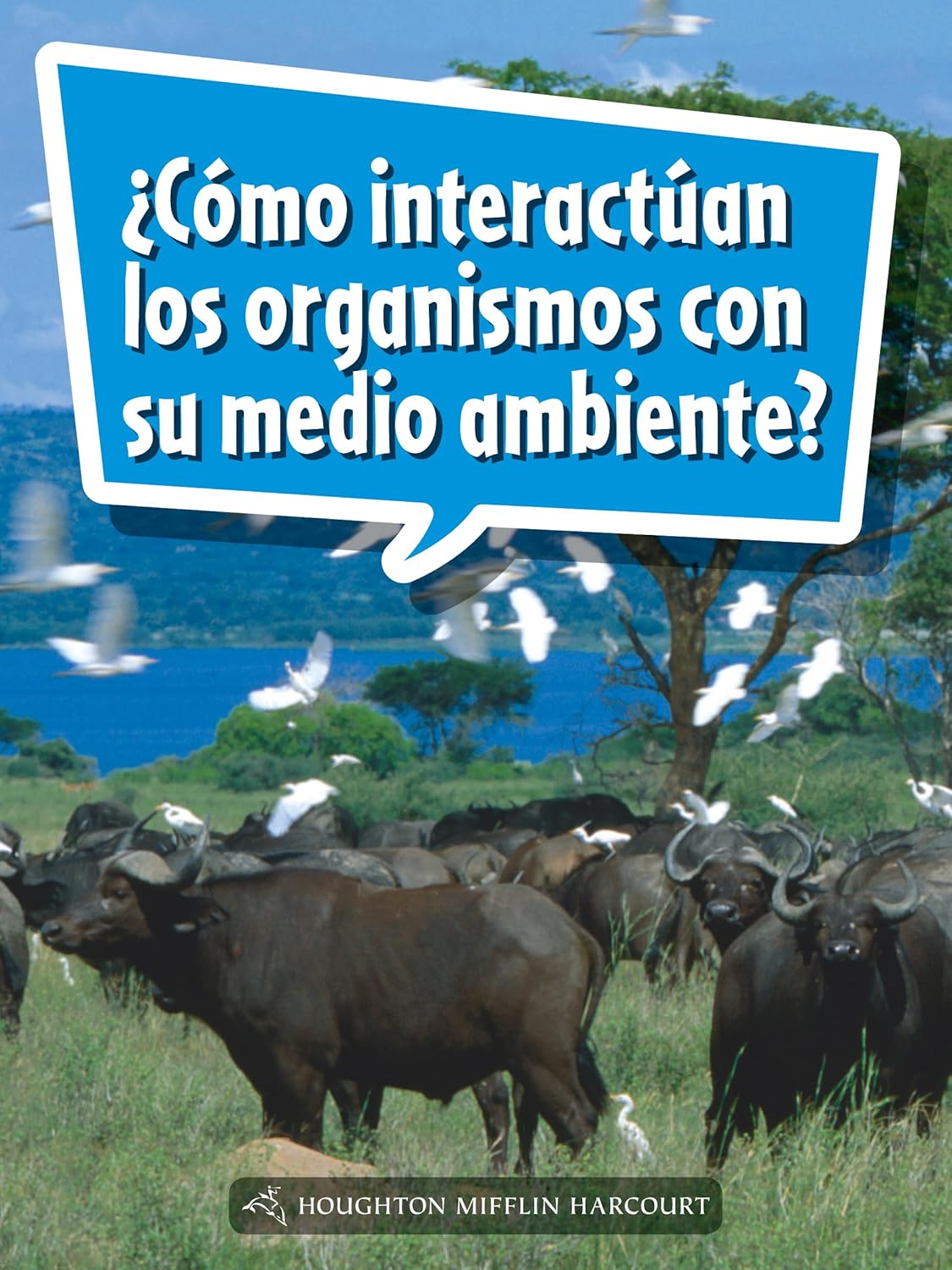Amazon.com: Book 144: ¿Cómo interactúan los organismos con su medio ...