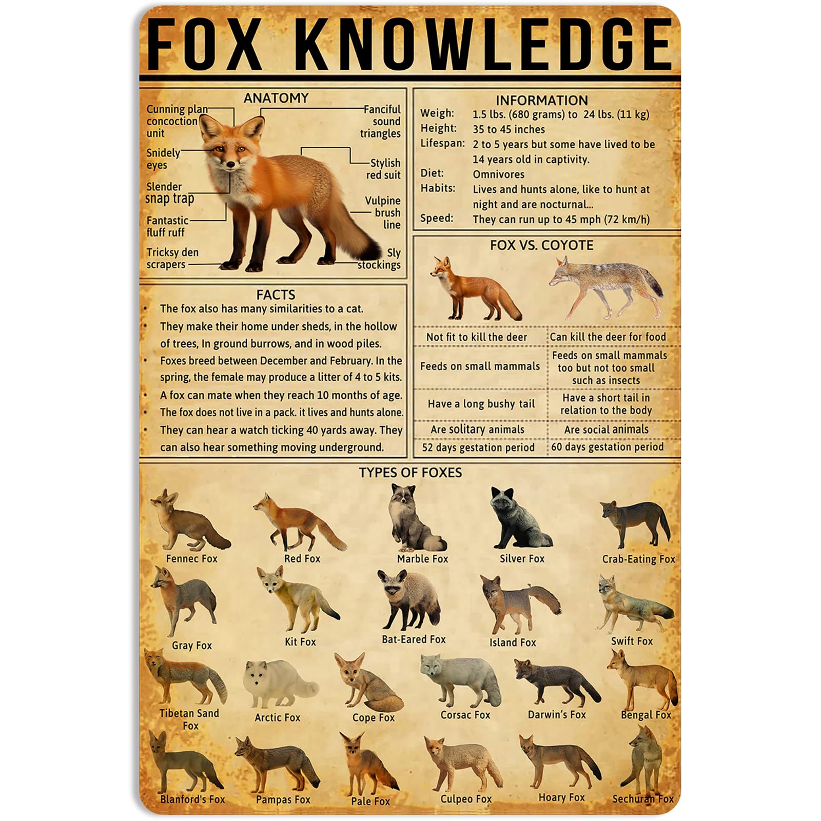 Amazon.com : NEGLAI Vintage Metal Tin Sign Fox Knowledge Wall Art Decor ...