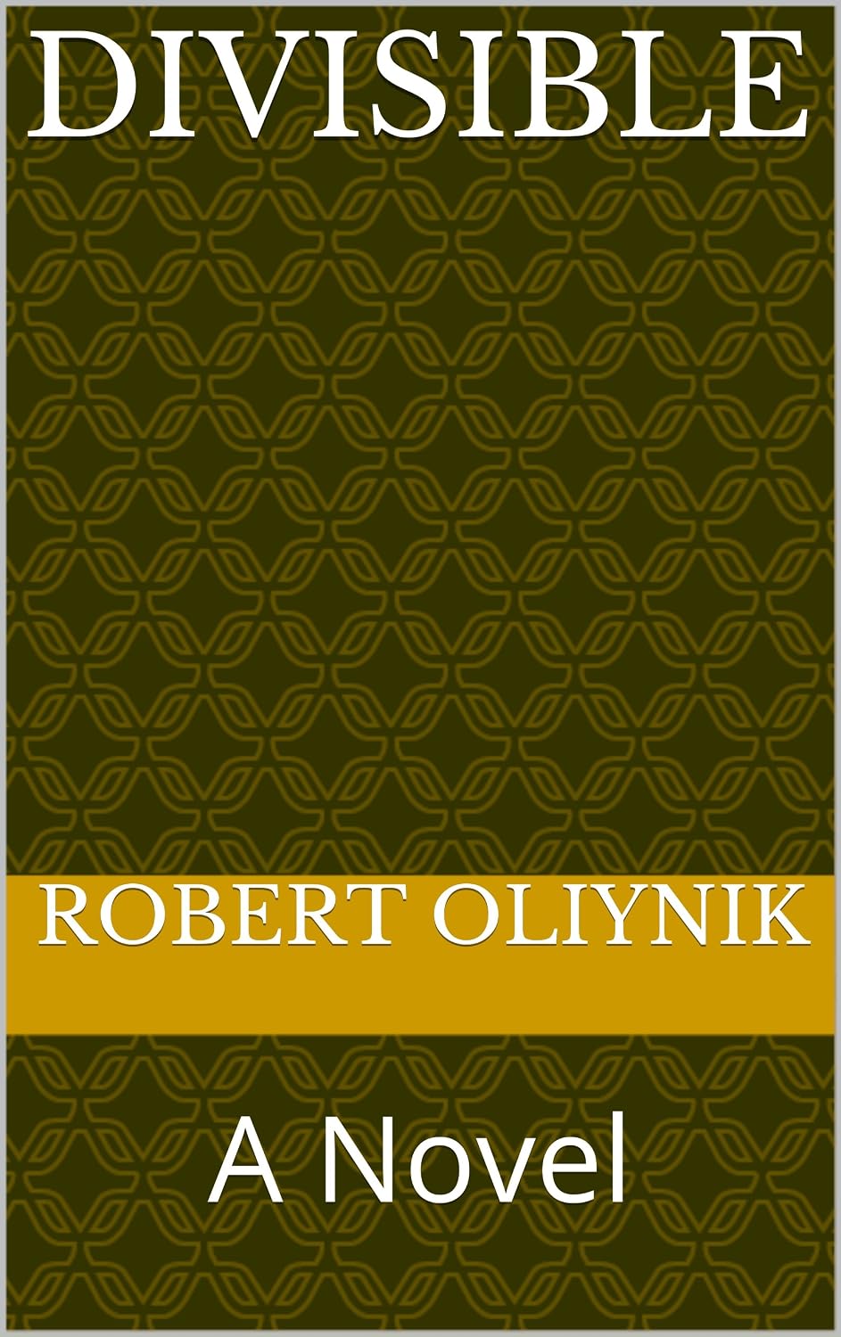 Divisible: A Novel - Kindle edition by Oliynik, Robert. Literature ...