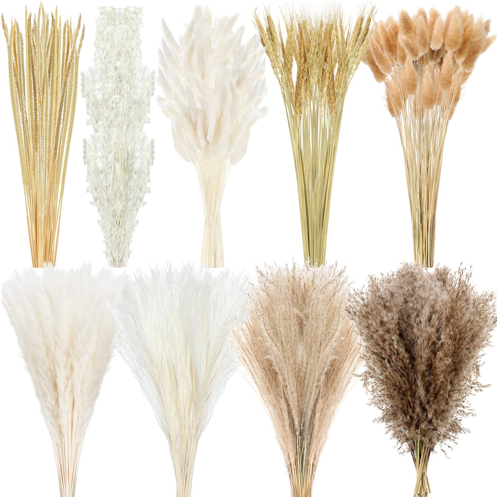 255 Pcs Natural Dried Pampas Grass 17 Inch Pompous Grass Long-Lasting ...