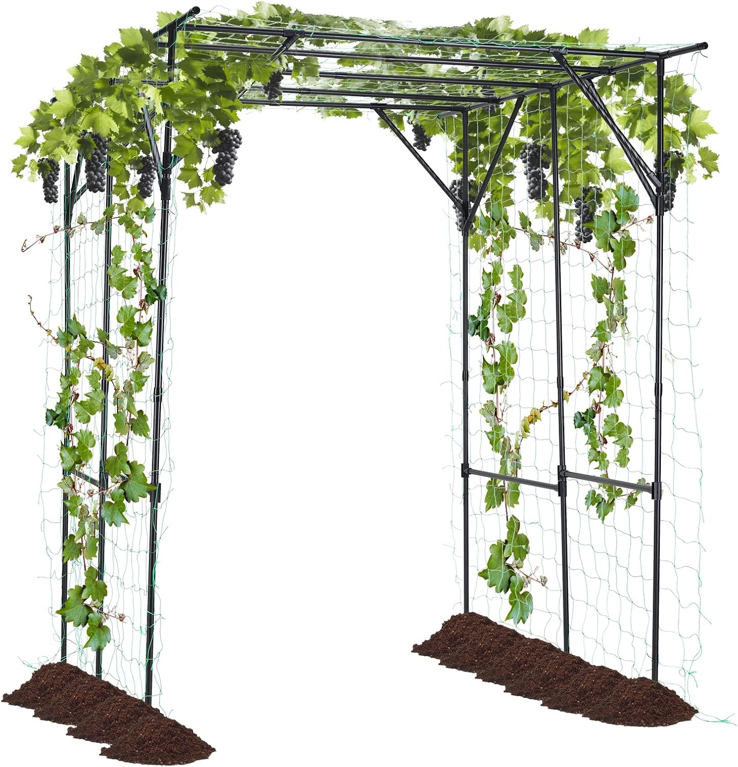 Amazon.com : Yotoworth Garden Grape Vine Trellis Outdoor, 78.7 x 59 x ...